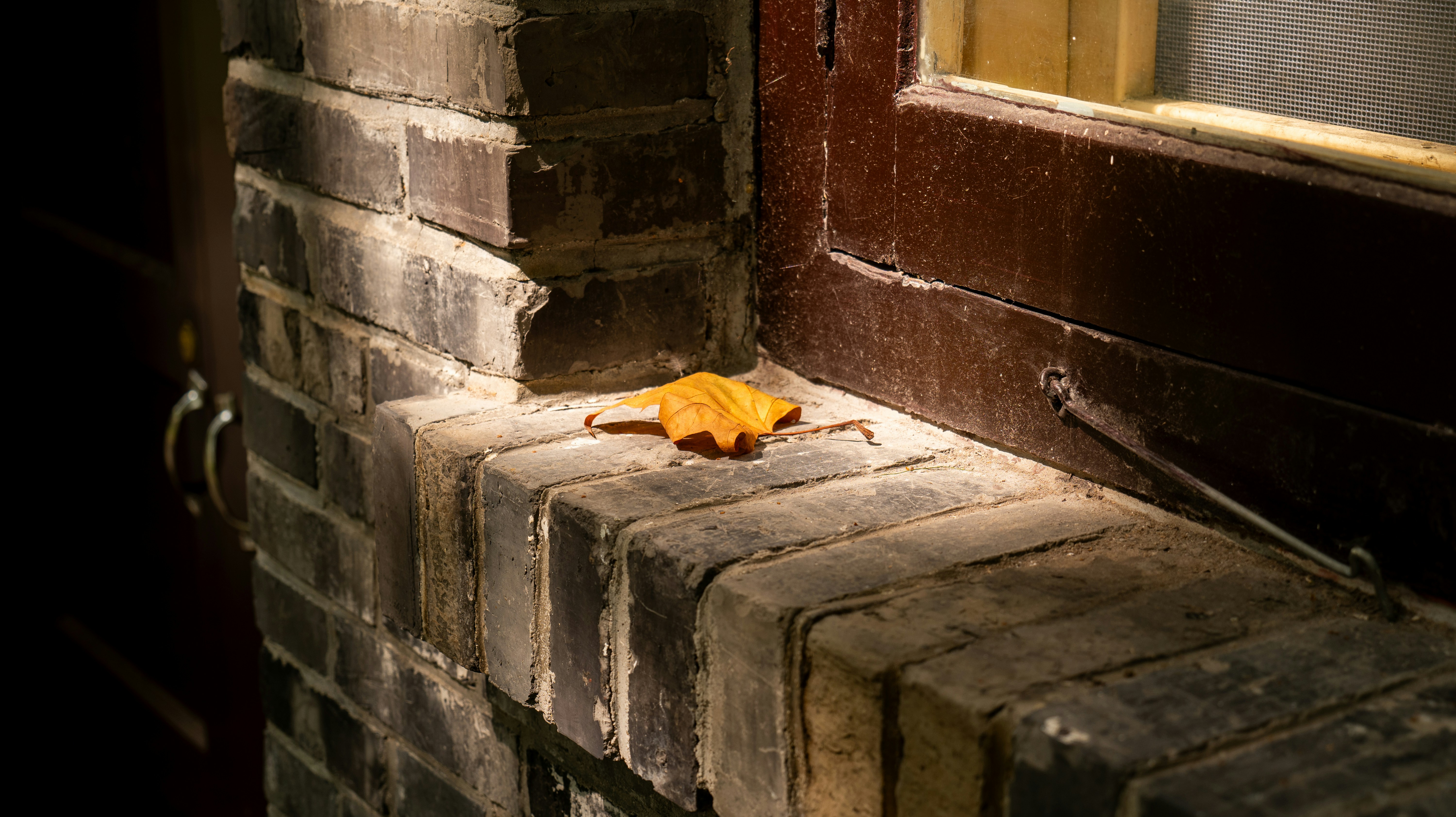 Amber Leaf on a Weathered Brick Windowsill Under Dim Windowlight