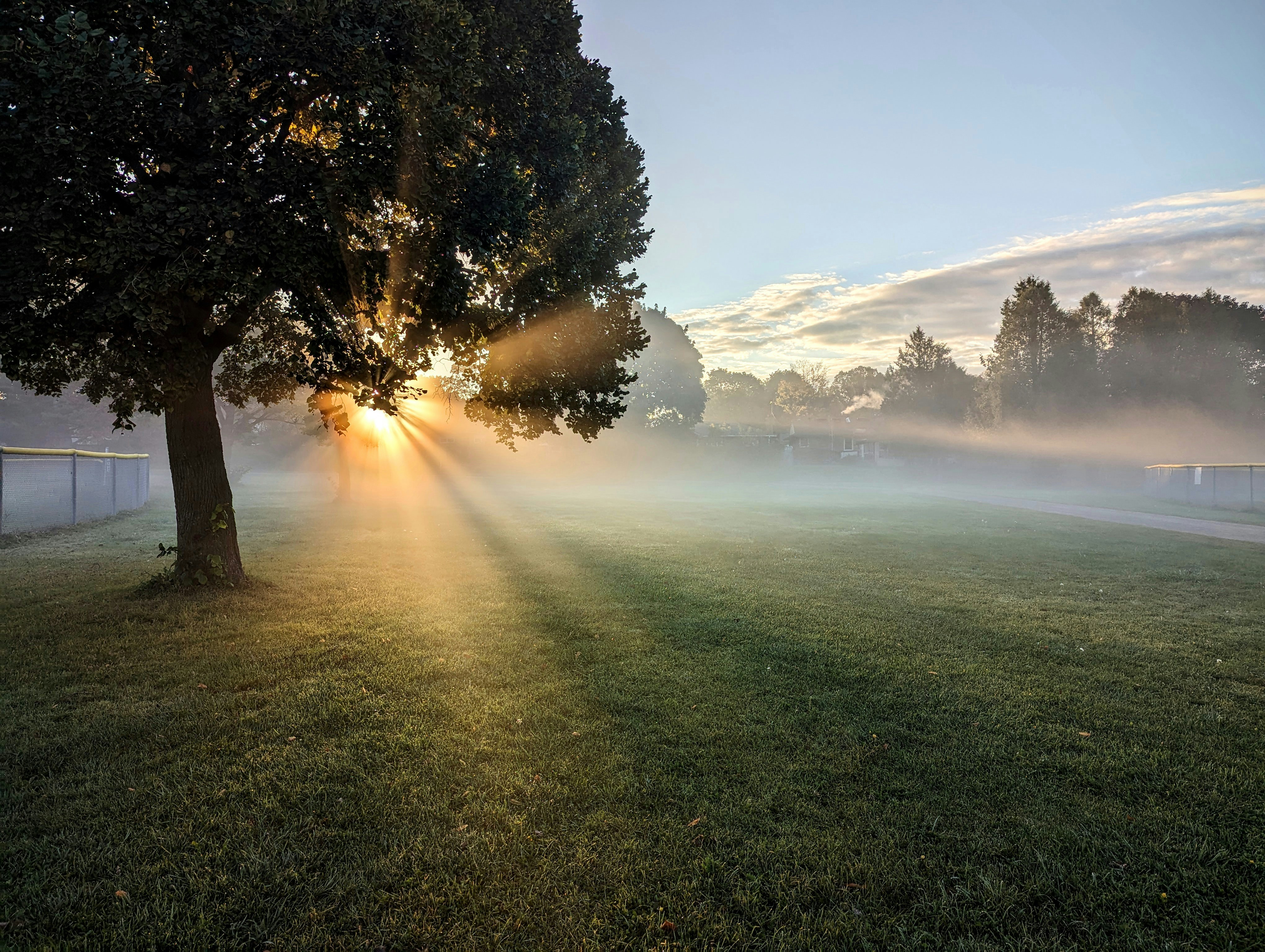 Dawn Sunbeams Slice Through Fog Over a Quiet Field