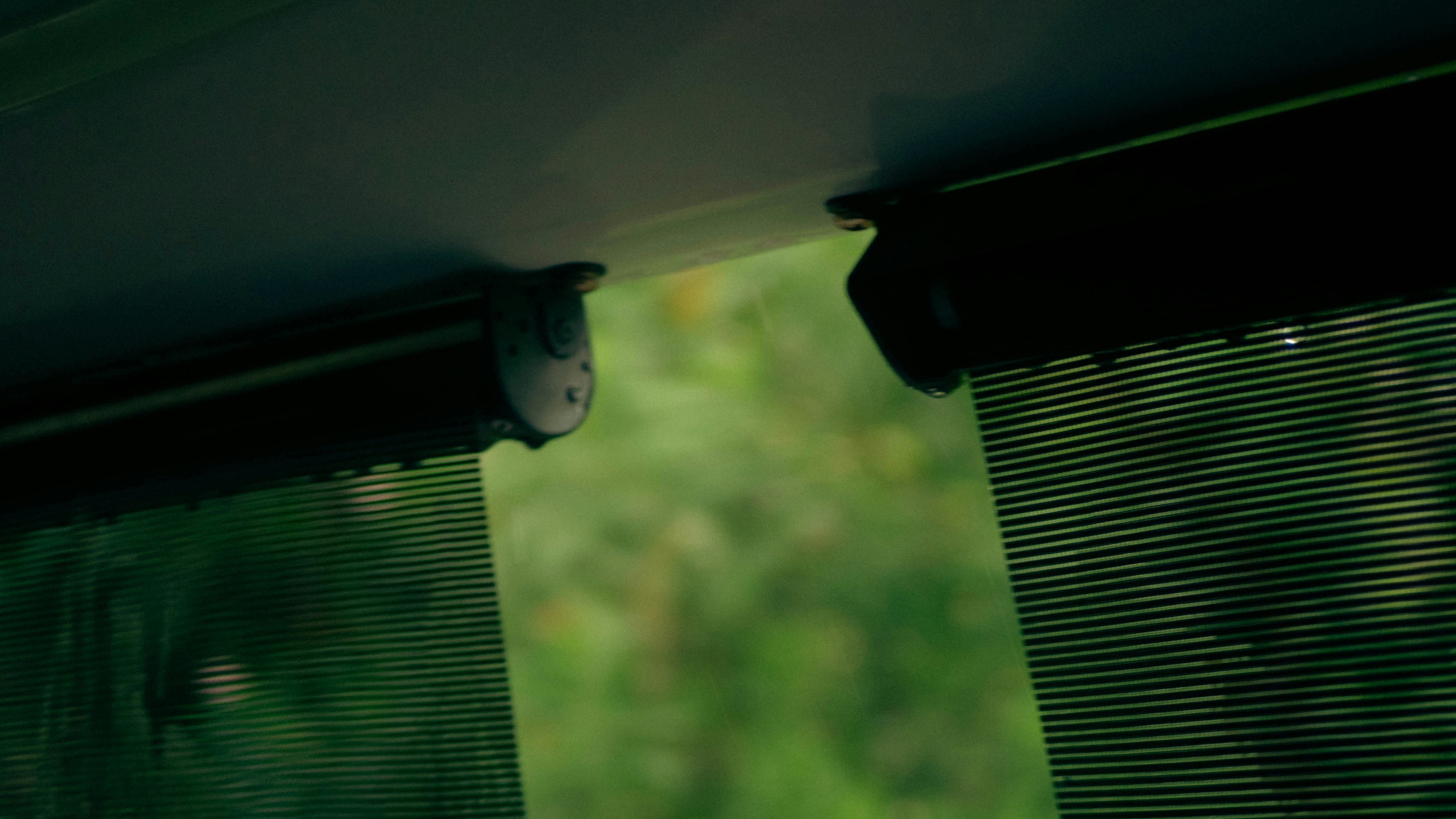 Verdant Silence Between Twin Window Blinds