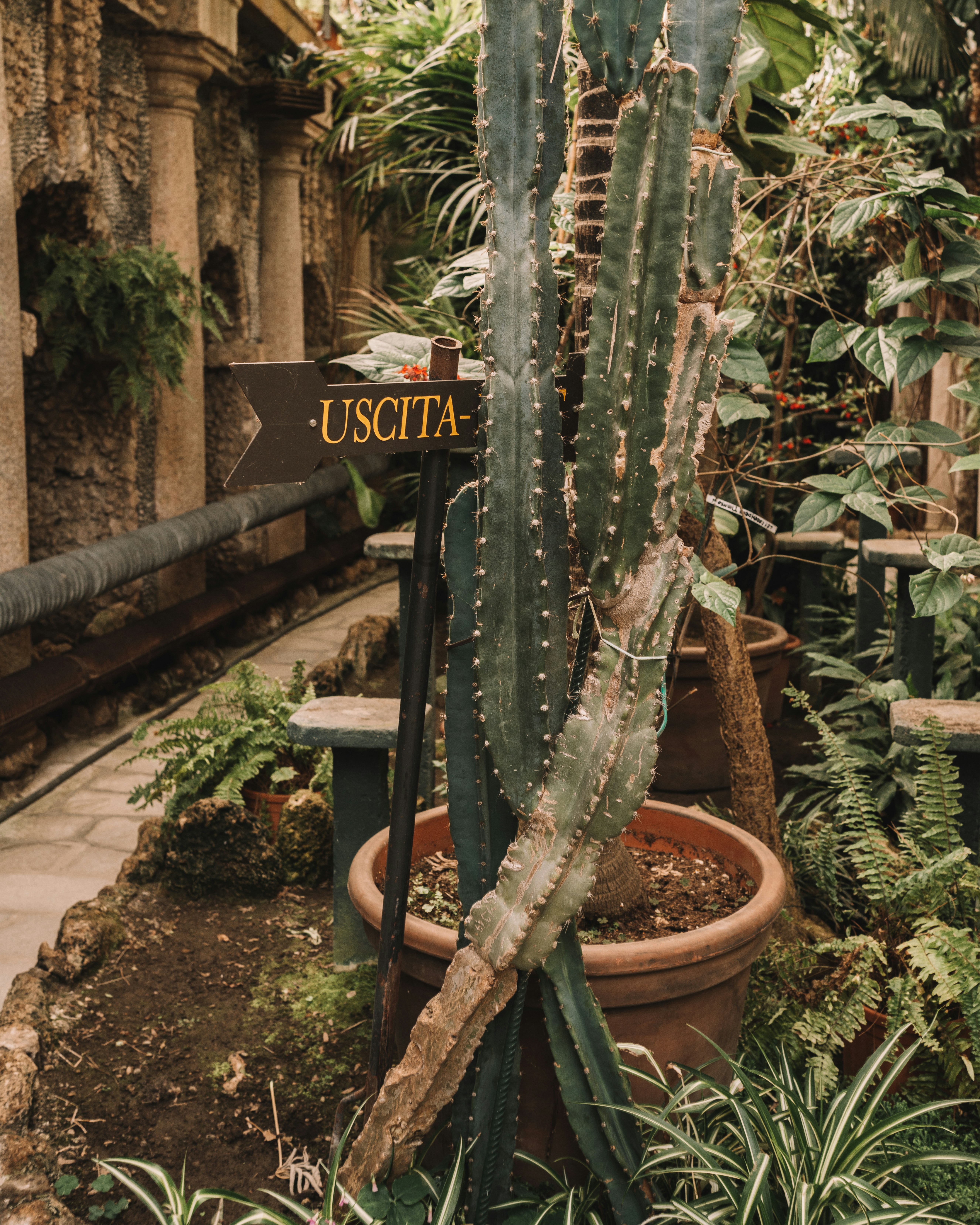 Desert Garden Gate: A Sign Amid Tall Cacti