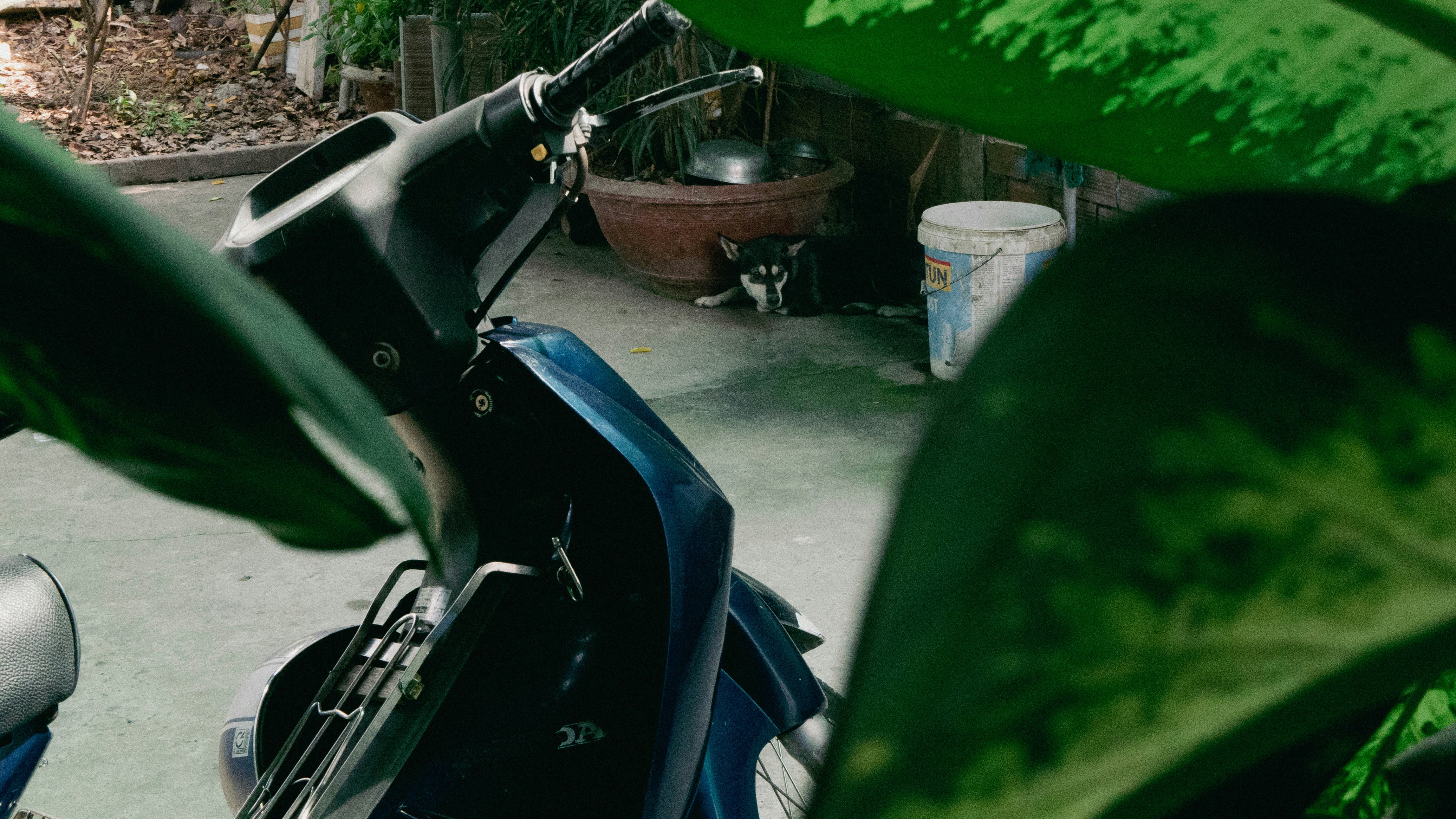 Photo by Phuc-Thanh Mai Vo with Panasonic Lumix GF9