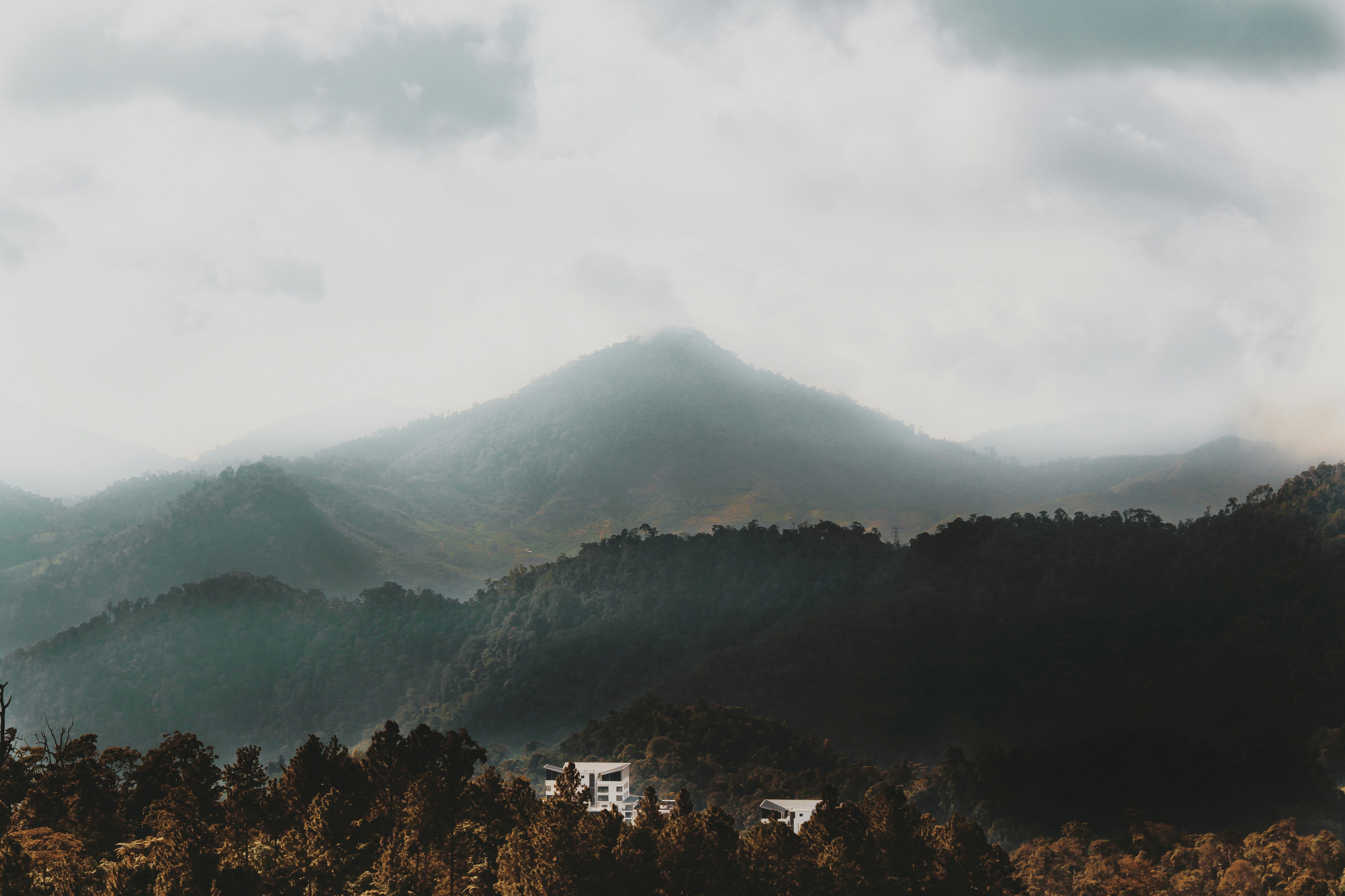 Mountain range under a cloudy sky with a modern house nestled among the trees in the foreground.