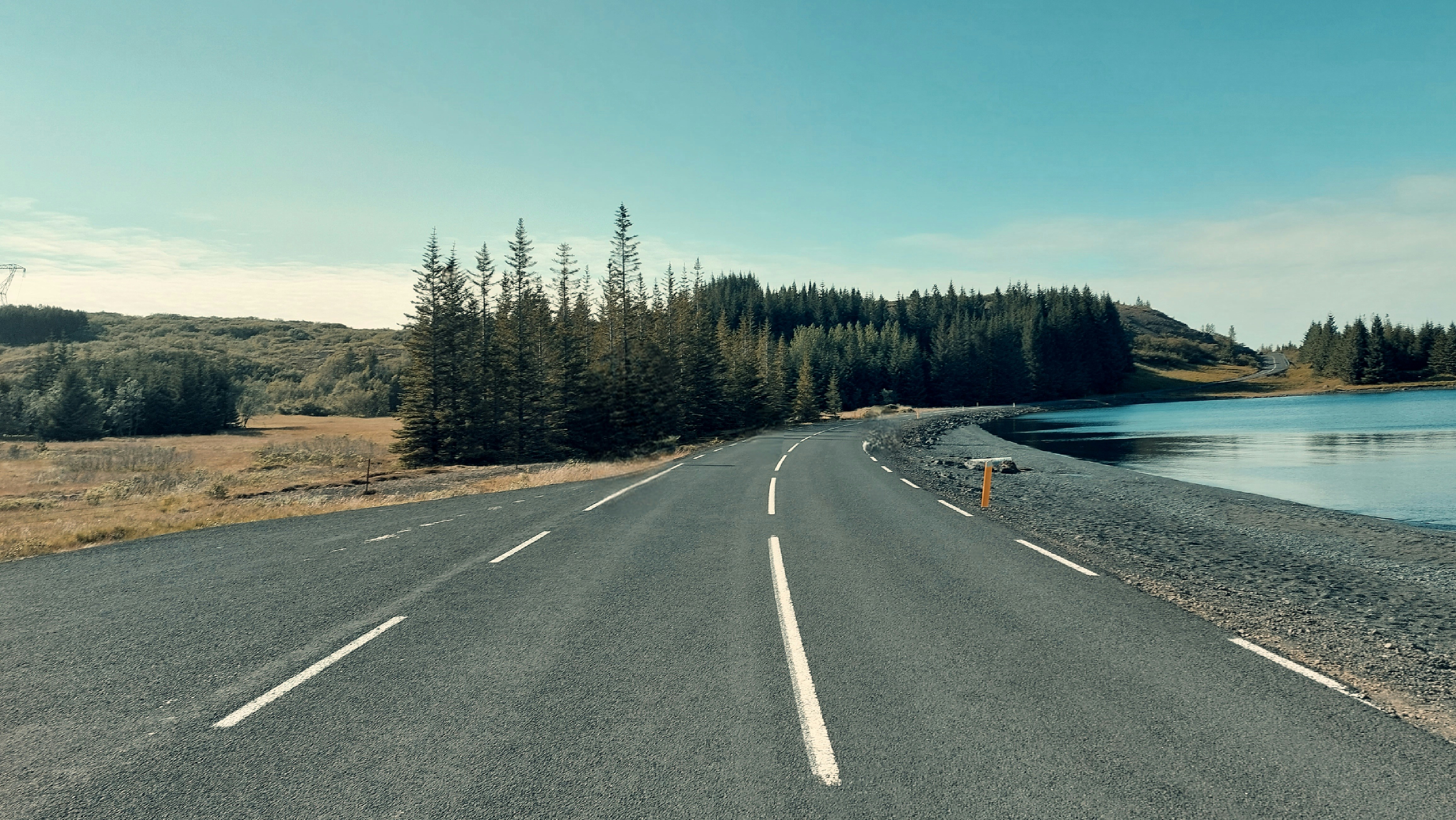 Curving road bordered by lush trees and a serene body of water under a clear blue sky.