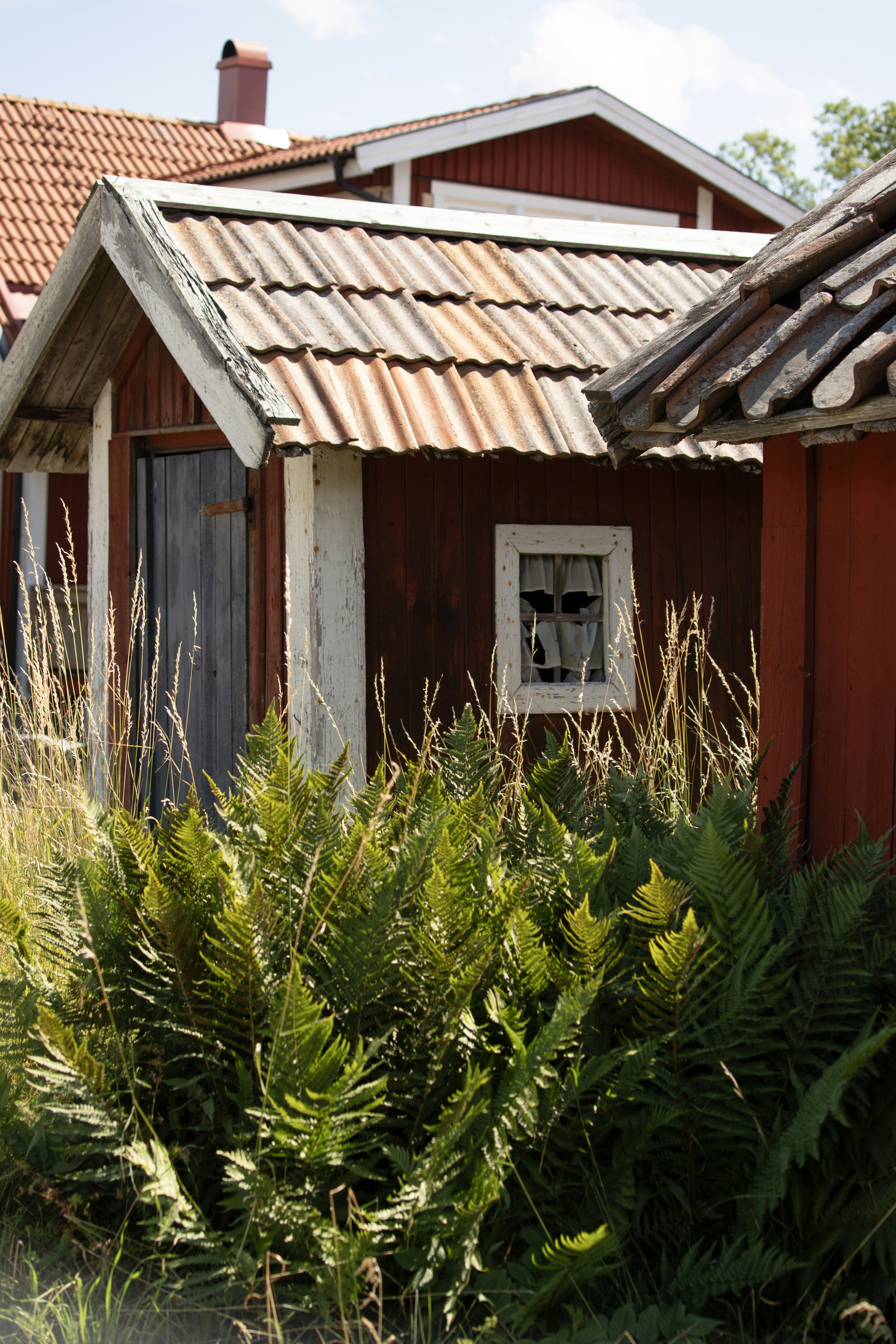 Photo by Lena Polishko with Canon EOS 6D Mark II