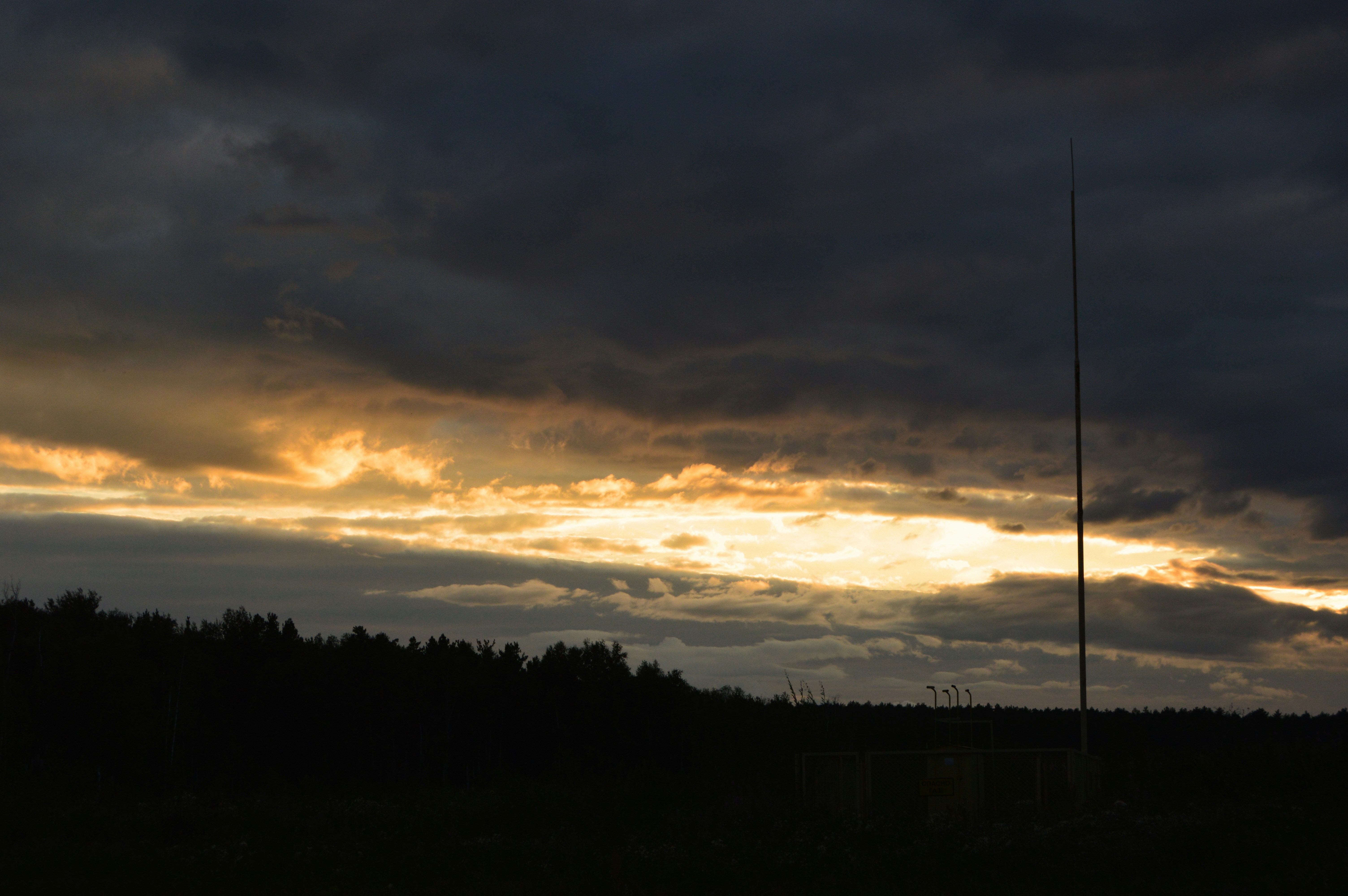 Whispers of Dusk: A Skyward Tale
