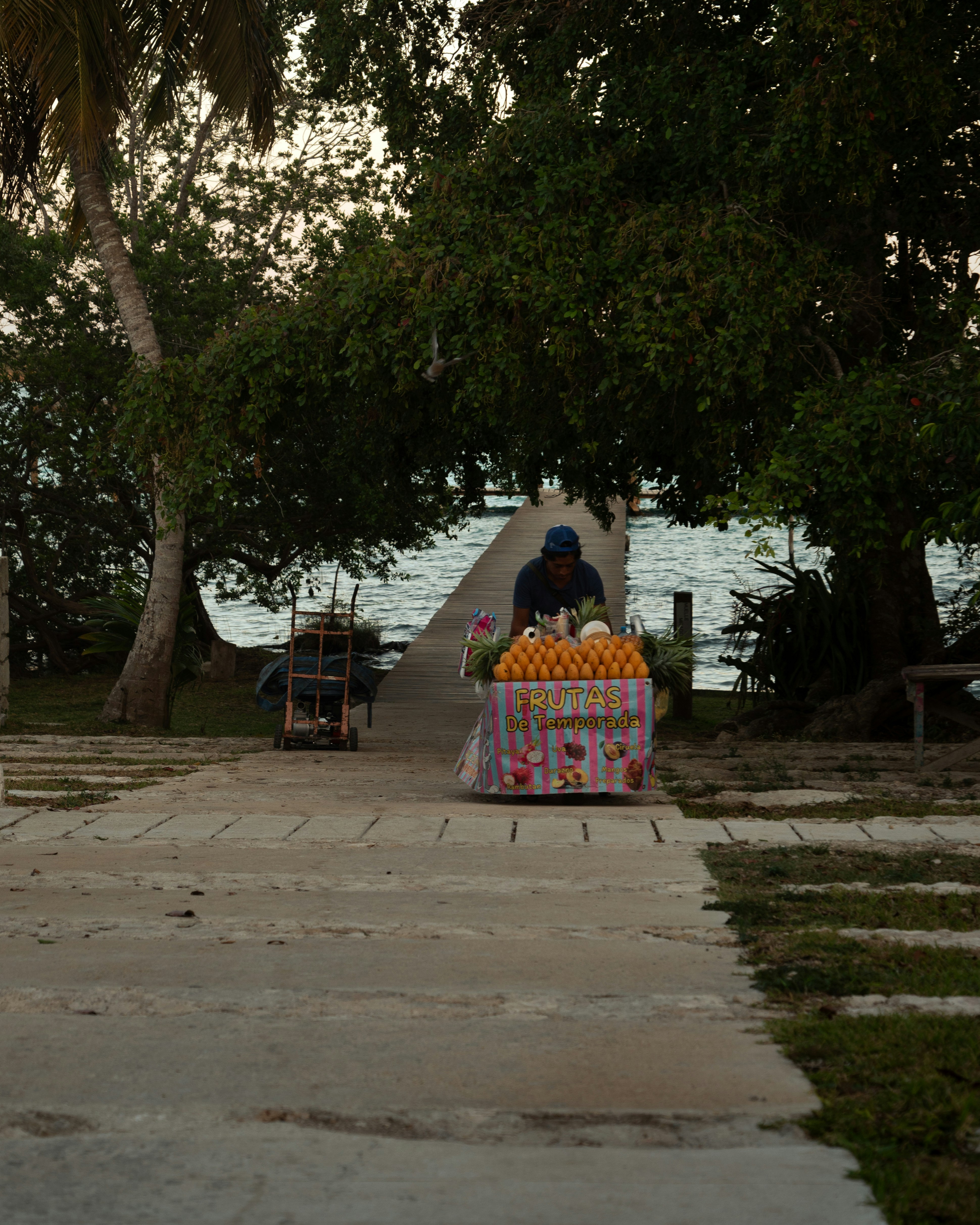 Fruit Cart at the Pier's Edge: a shaded path toward the sea