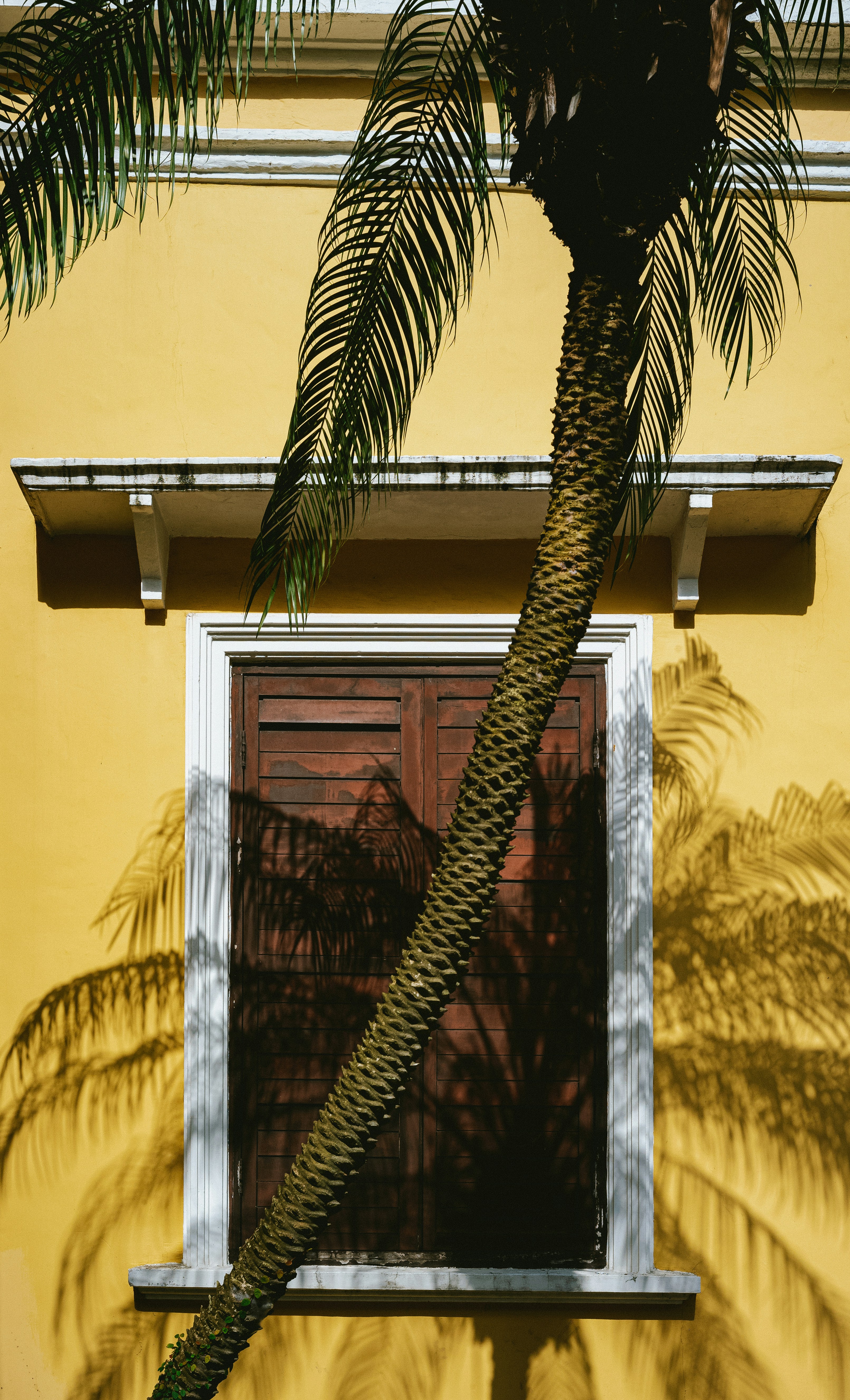 Photo by tommao wang with Leica M10-P