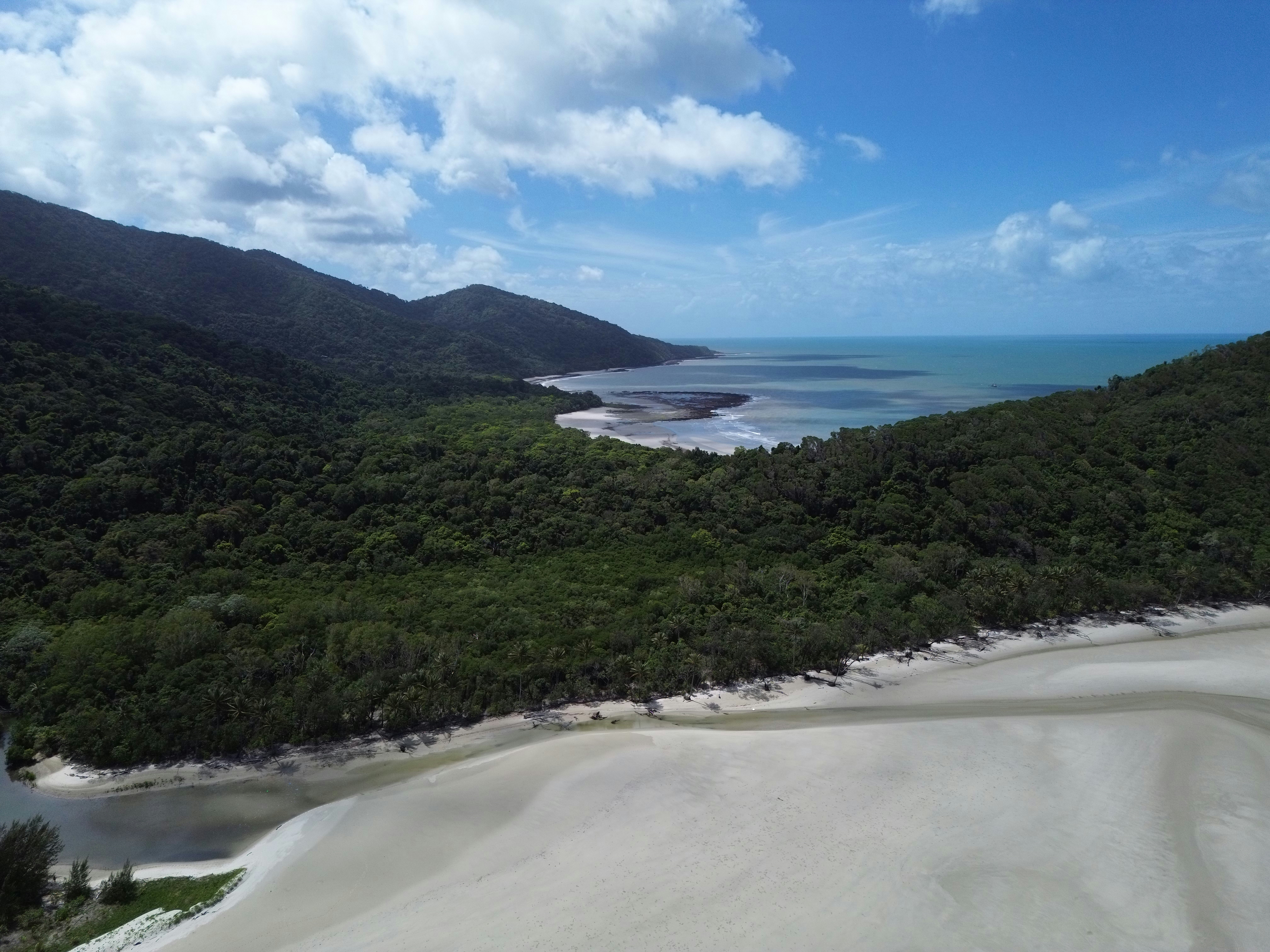 Coastal Valley Convergence: Forest Meets Sand at Distant Horizon
