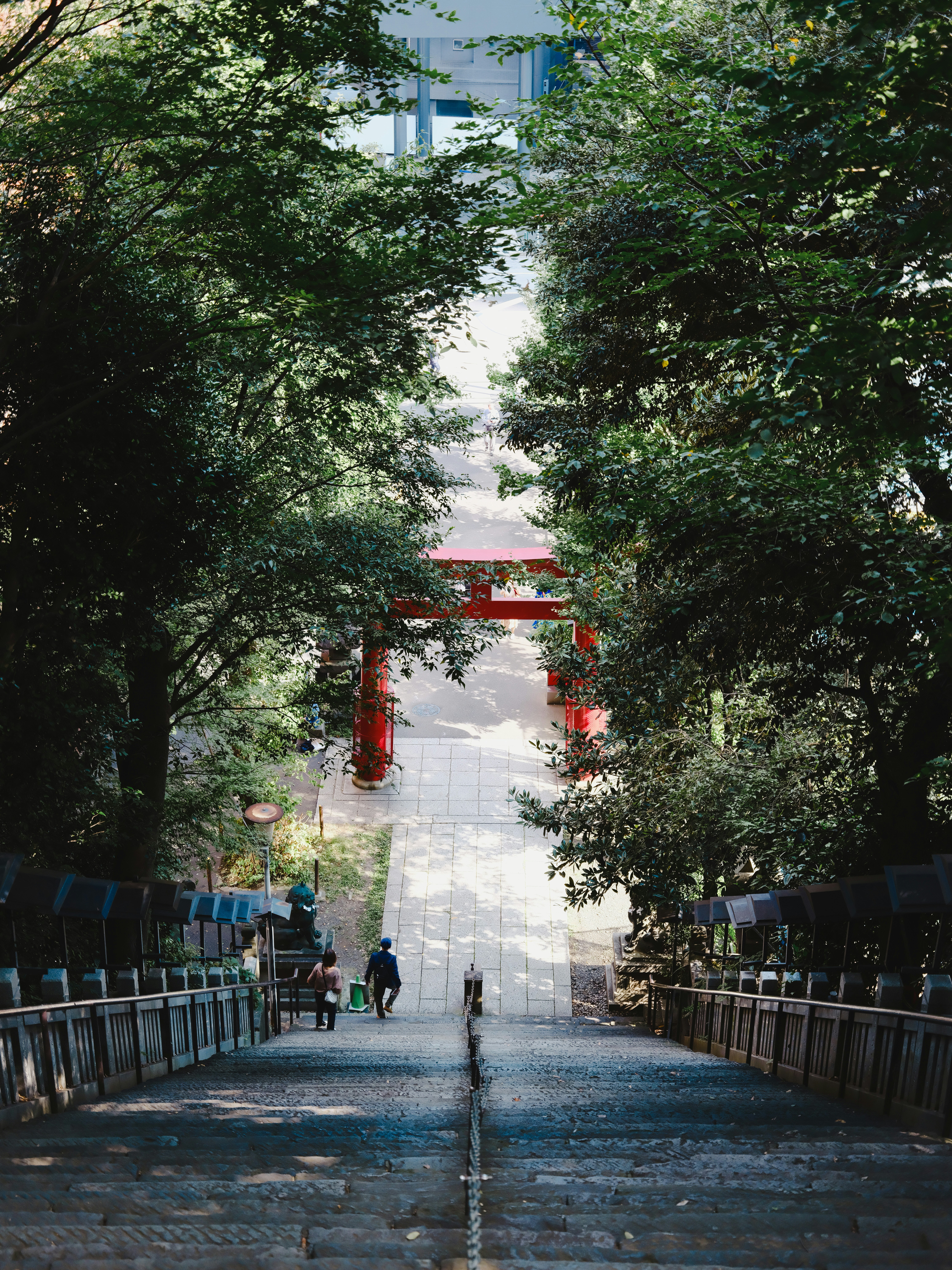 Red Torii Gate Framing the Descent into the Quiet Staircase