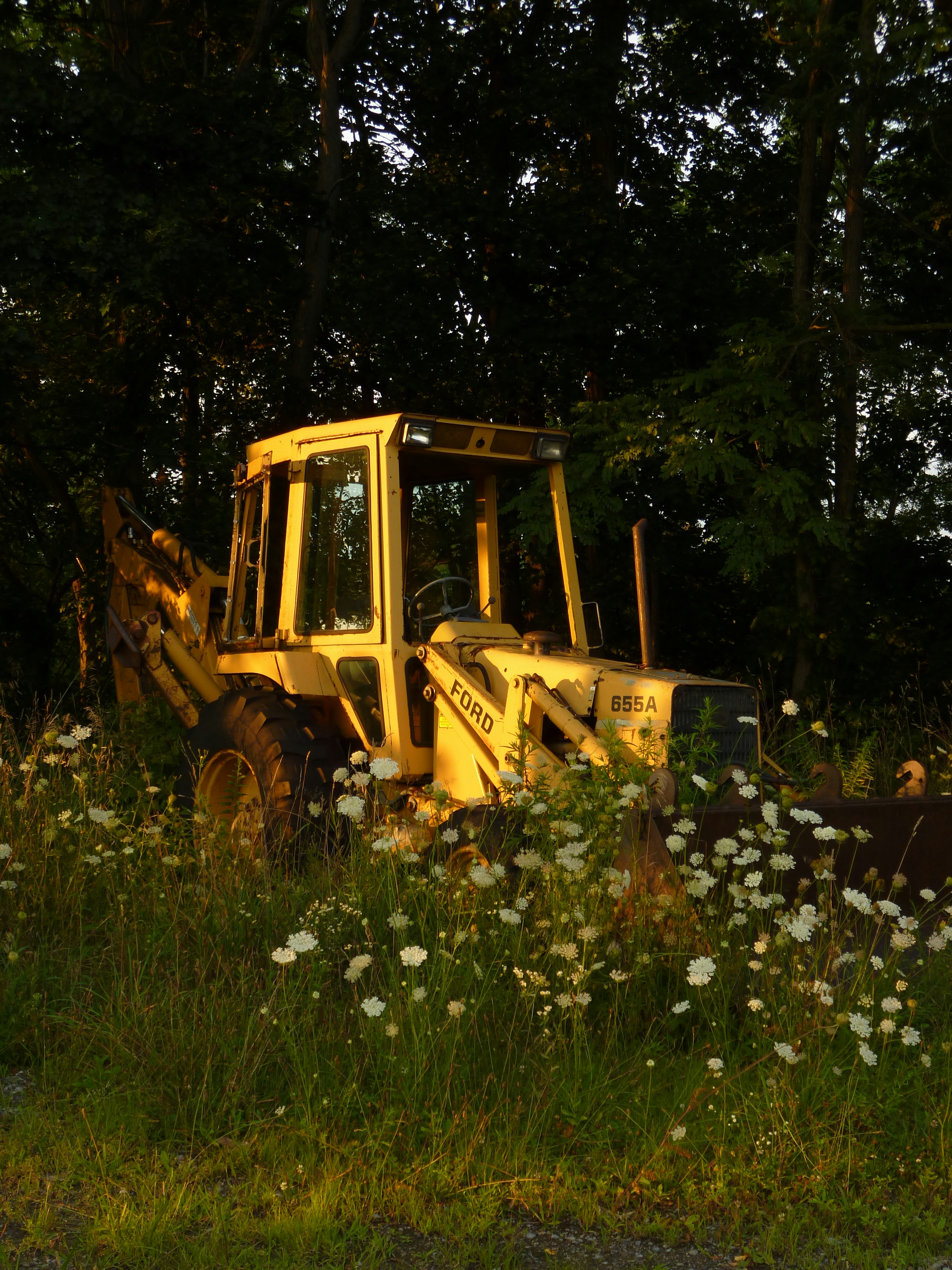 A yellow bulldozer parked in a field of flowers photo – Free Machine ...