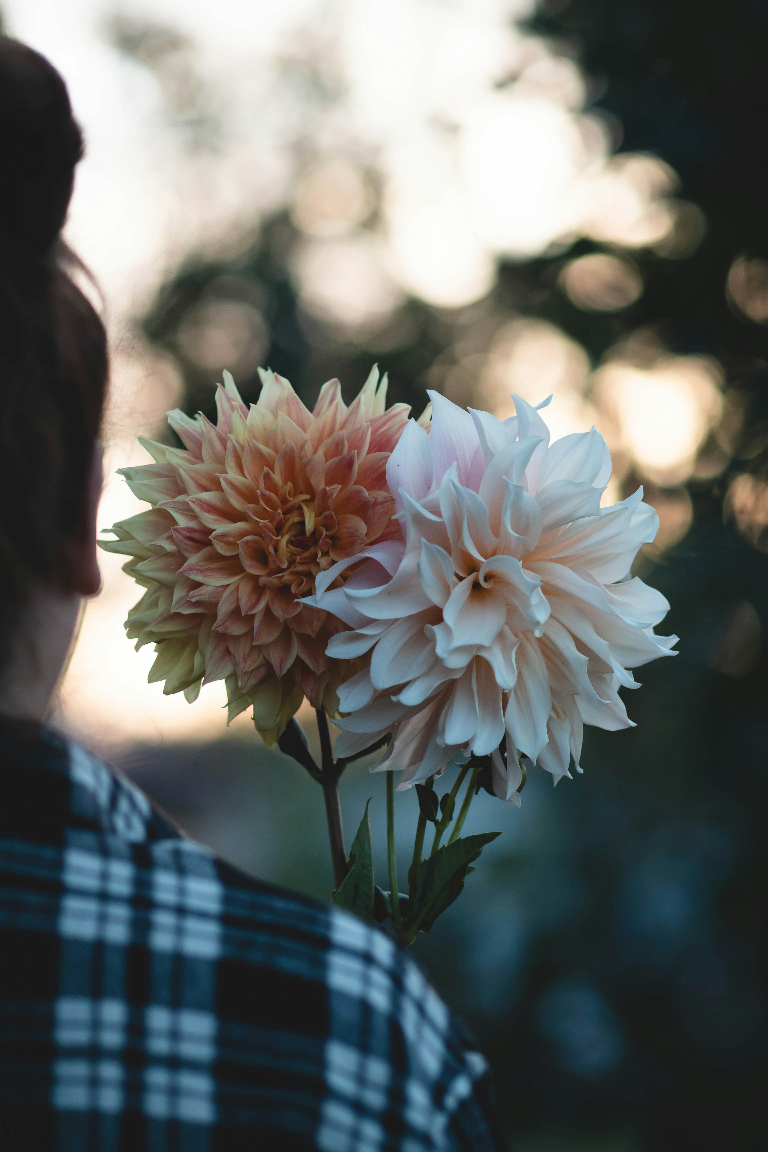 Petals Behind a Quiet Portrait: A Backlit Bouquet and Shoulder of Denim