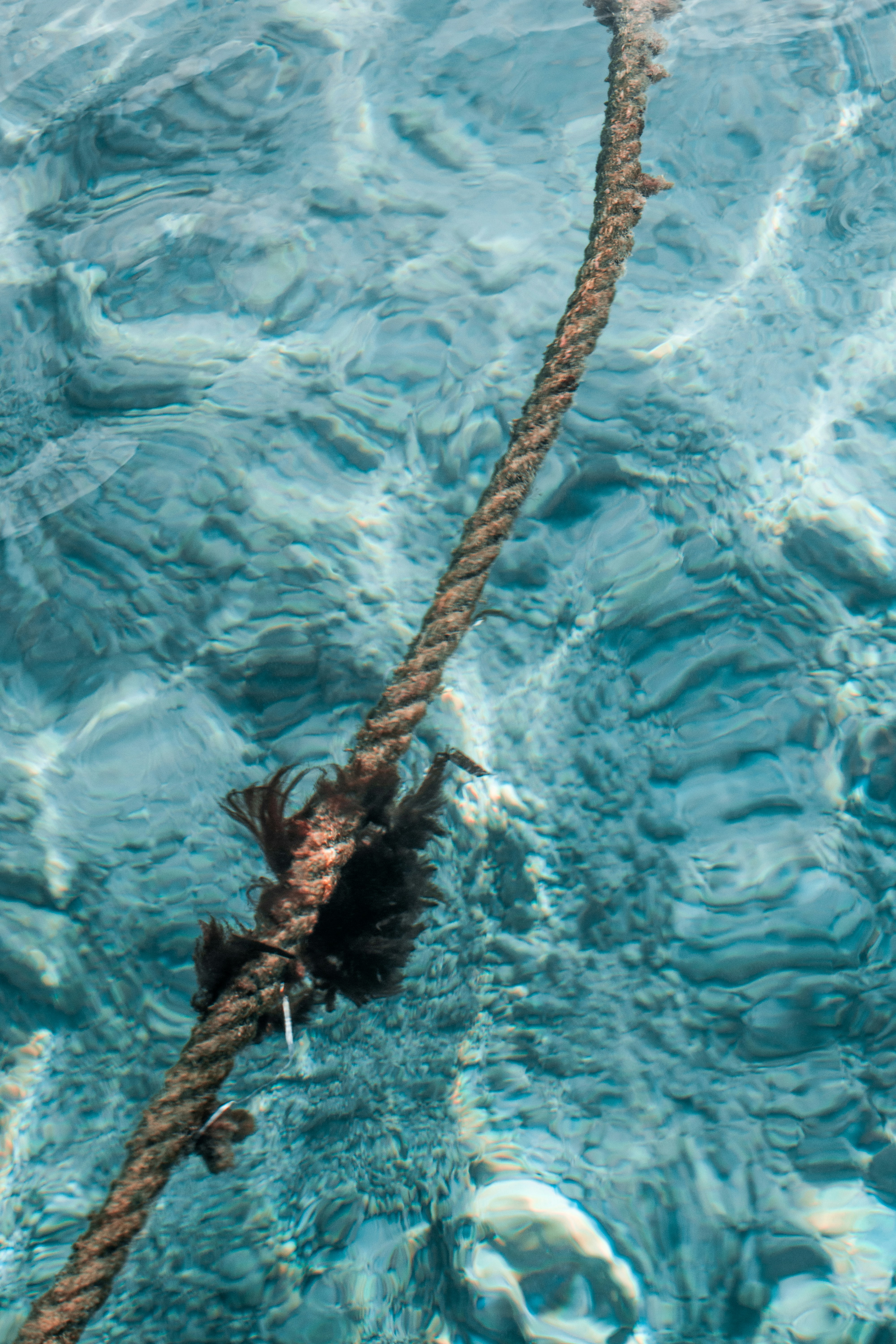 Rusted Mooring Rope Cutting Through Crystal Turquoise Water