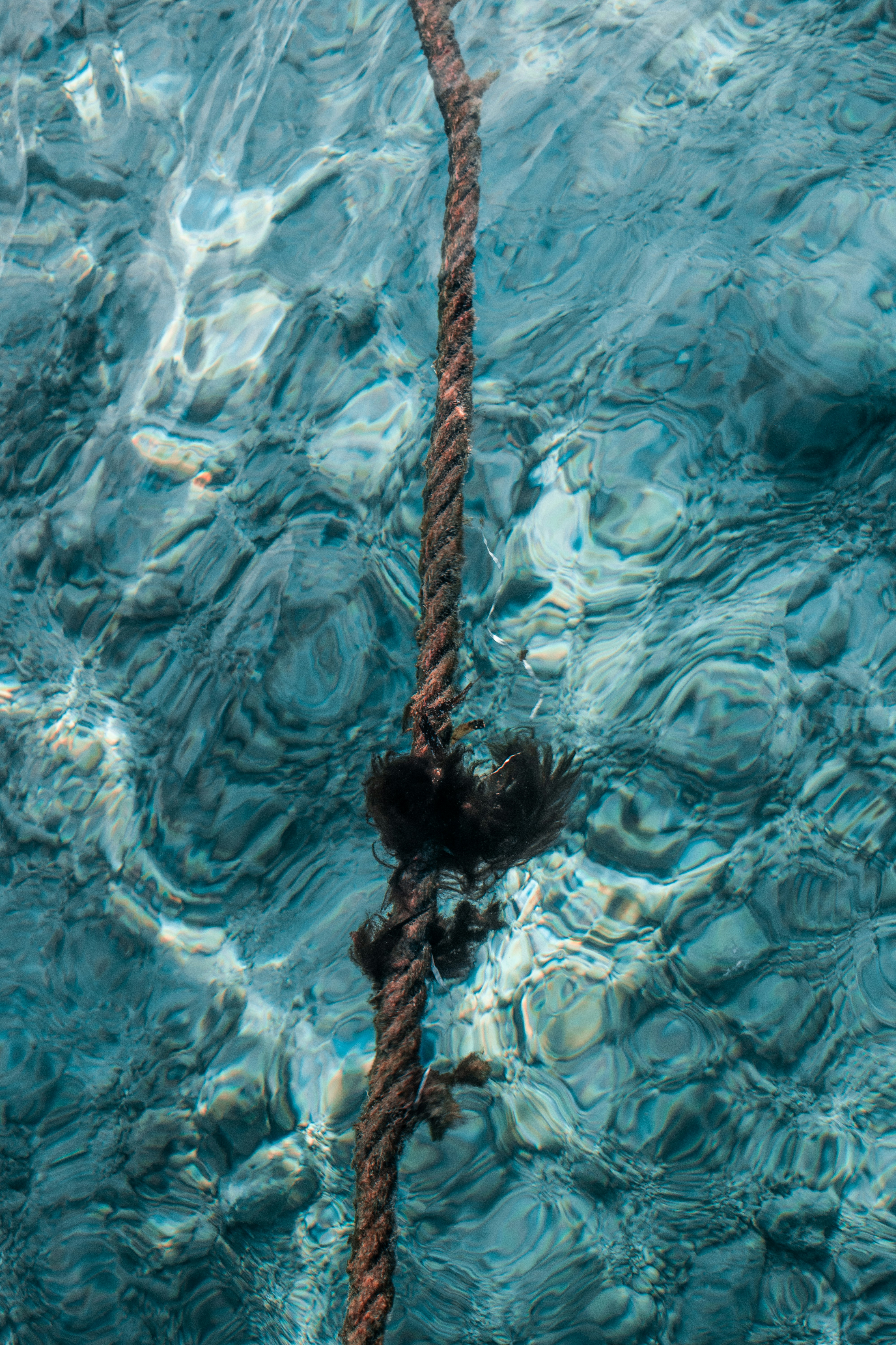The rope Holding a small floating platform near the beach