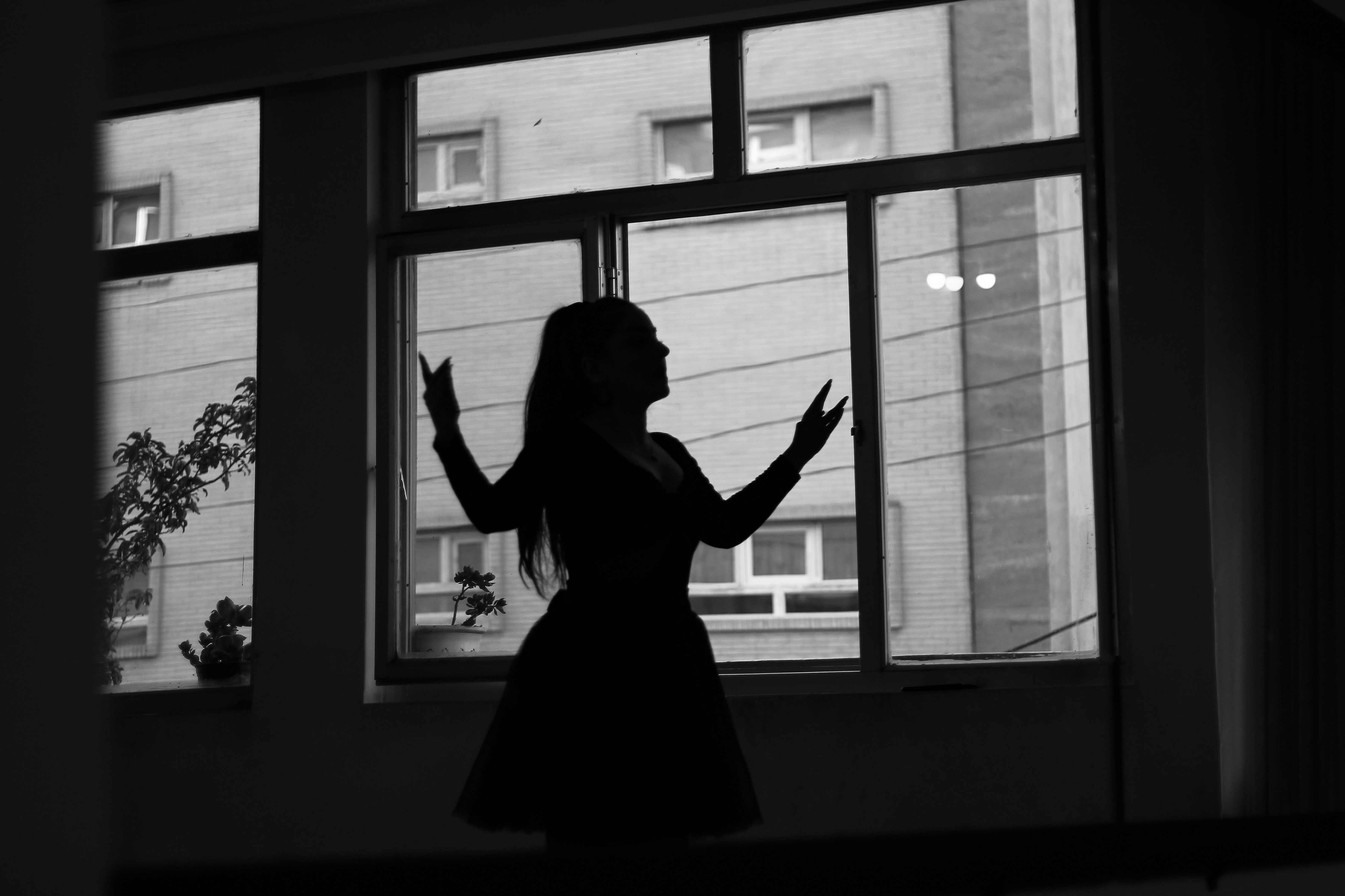 Photo by Baran Lotfollahi with Canon EOS 600D