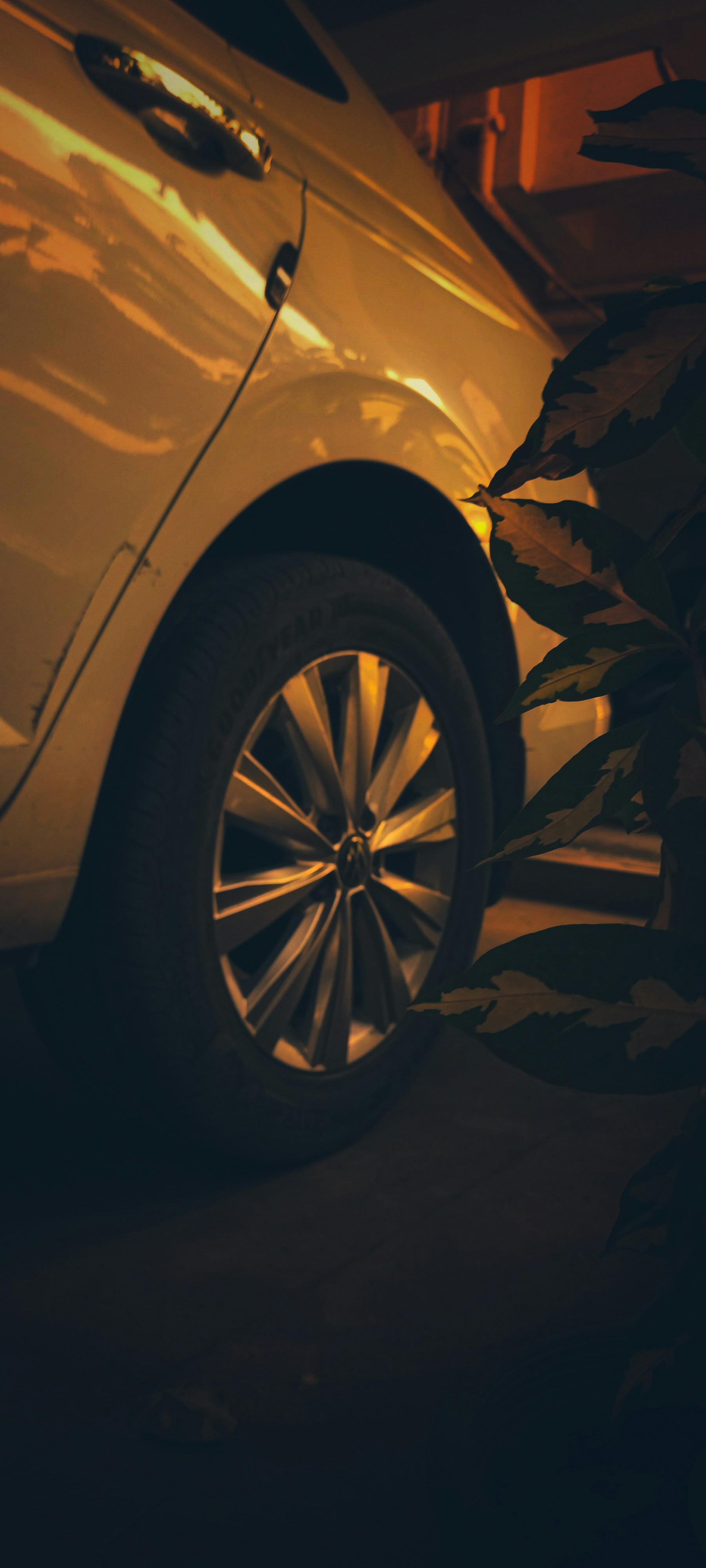 A parked car wheel and body bathed in warm amber light, with plant leaves partly obscuring the foreground.