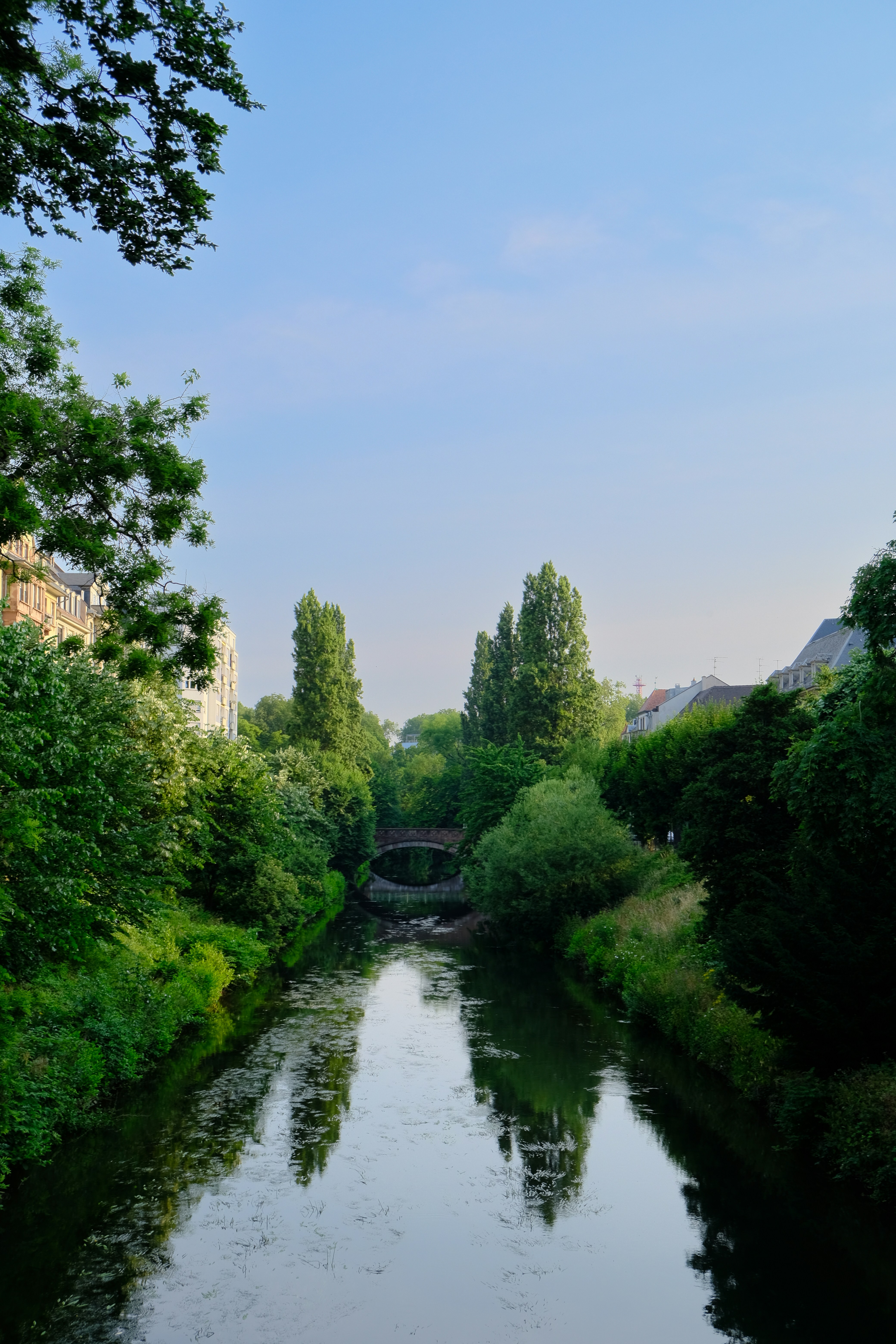 Photo by Nicolò Bettoni with Fujifilm X-T4