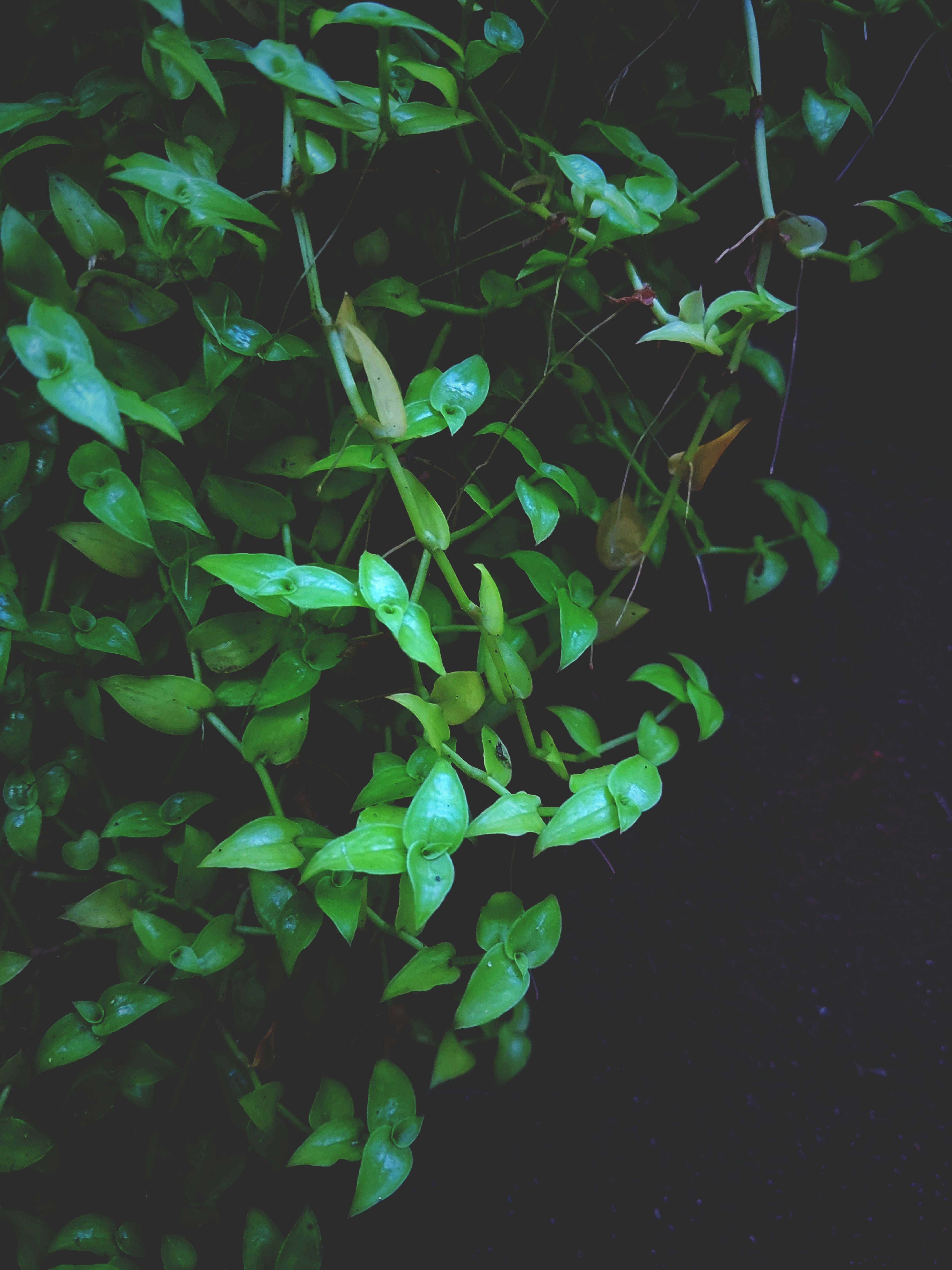 Sample photo from Samsung Galaxy F23