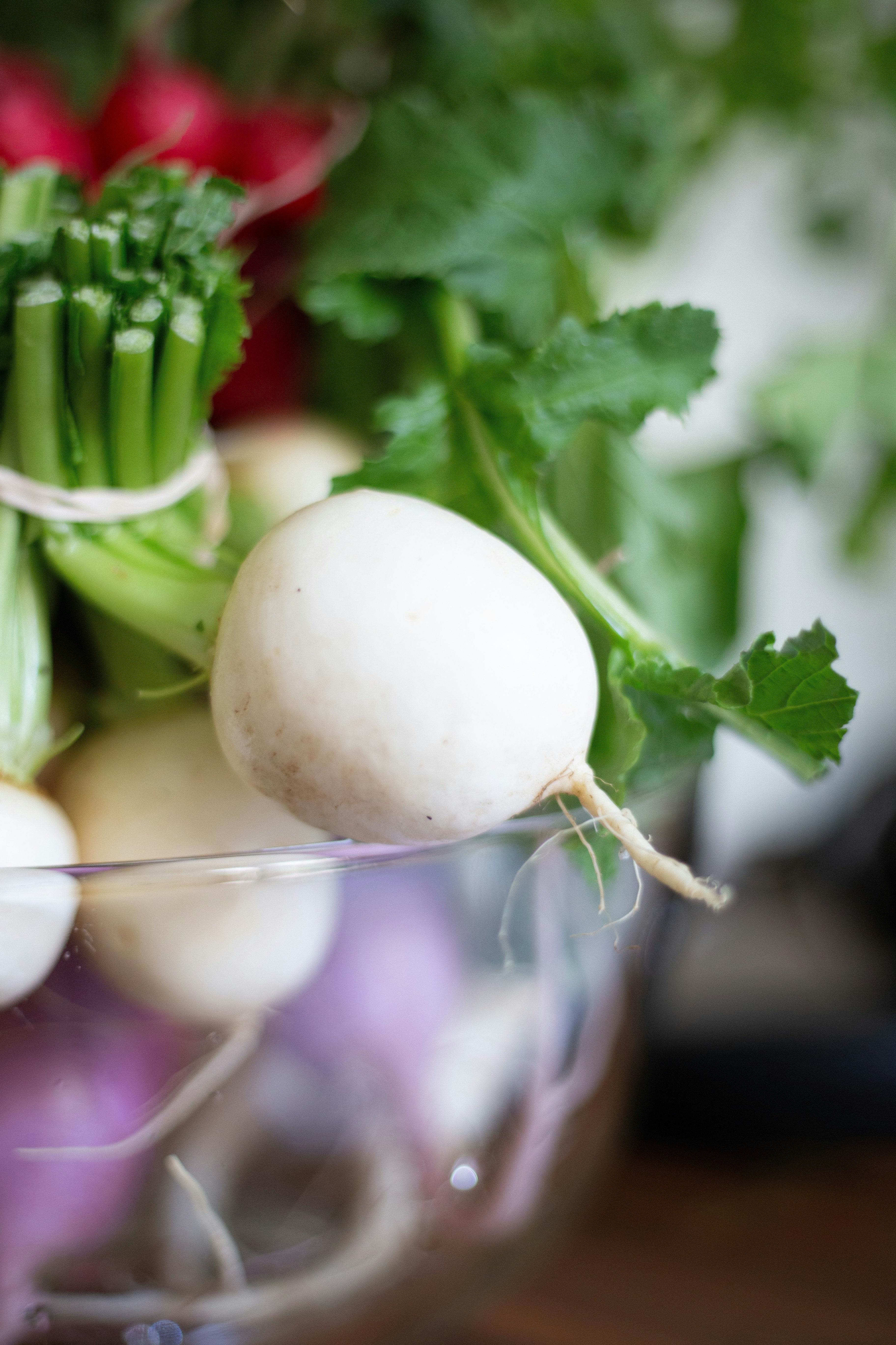 Discovering Turnip Plants: A Journey into Their Culinary Versatility ...