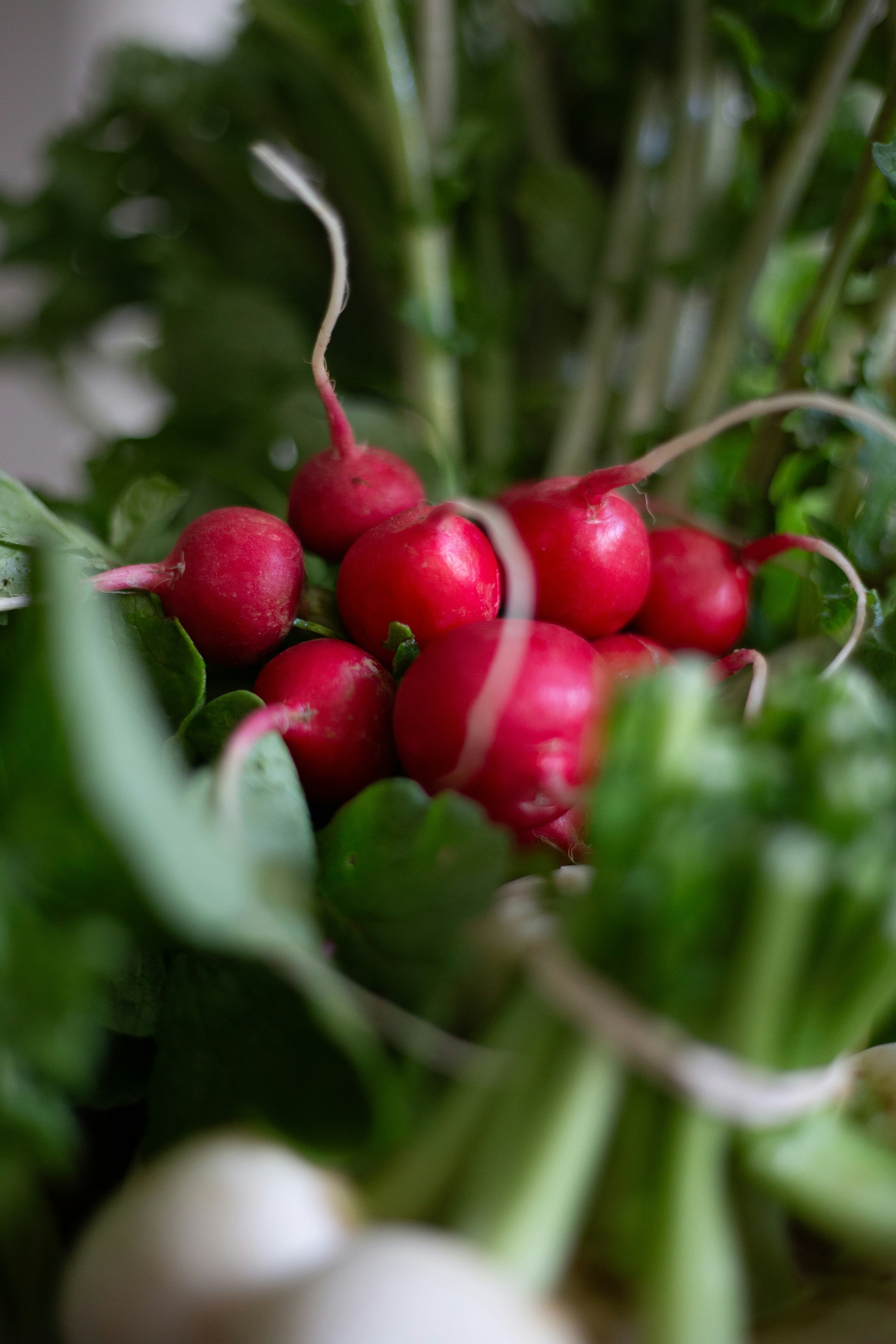 Photo by Omar Roque with Canon EOS 6D