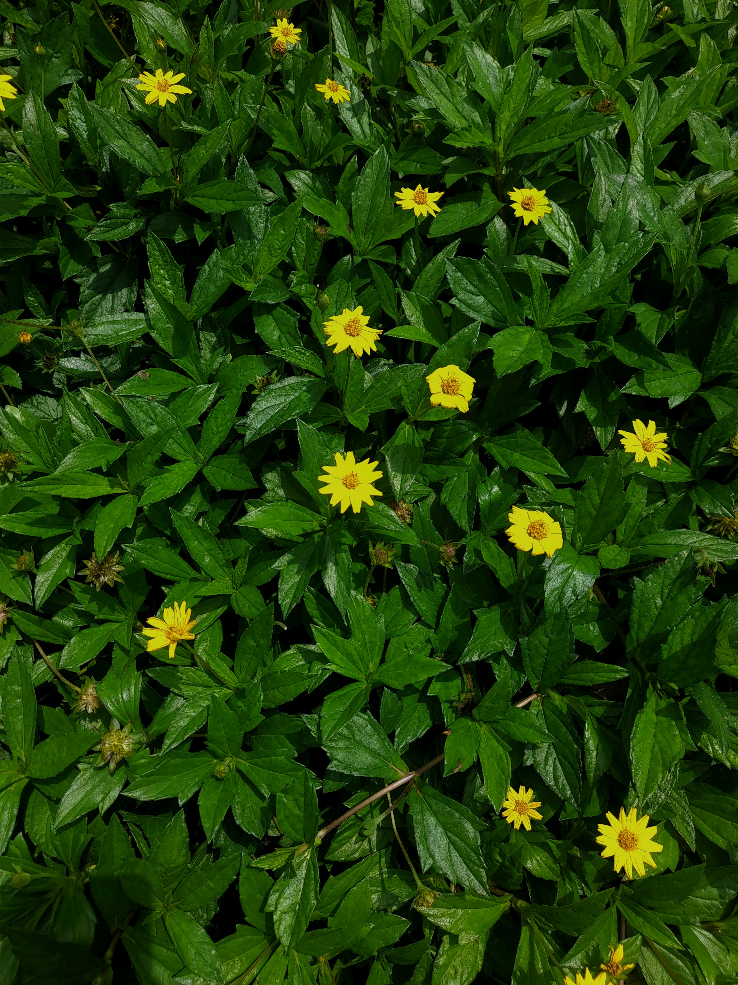 Photo by Rucha with Samsung Galaxy M12