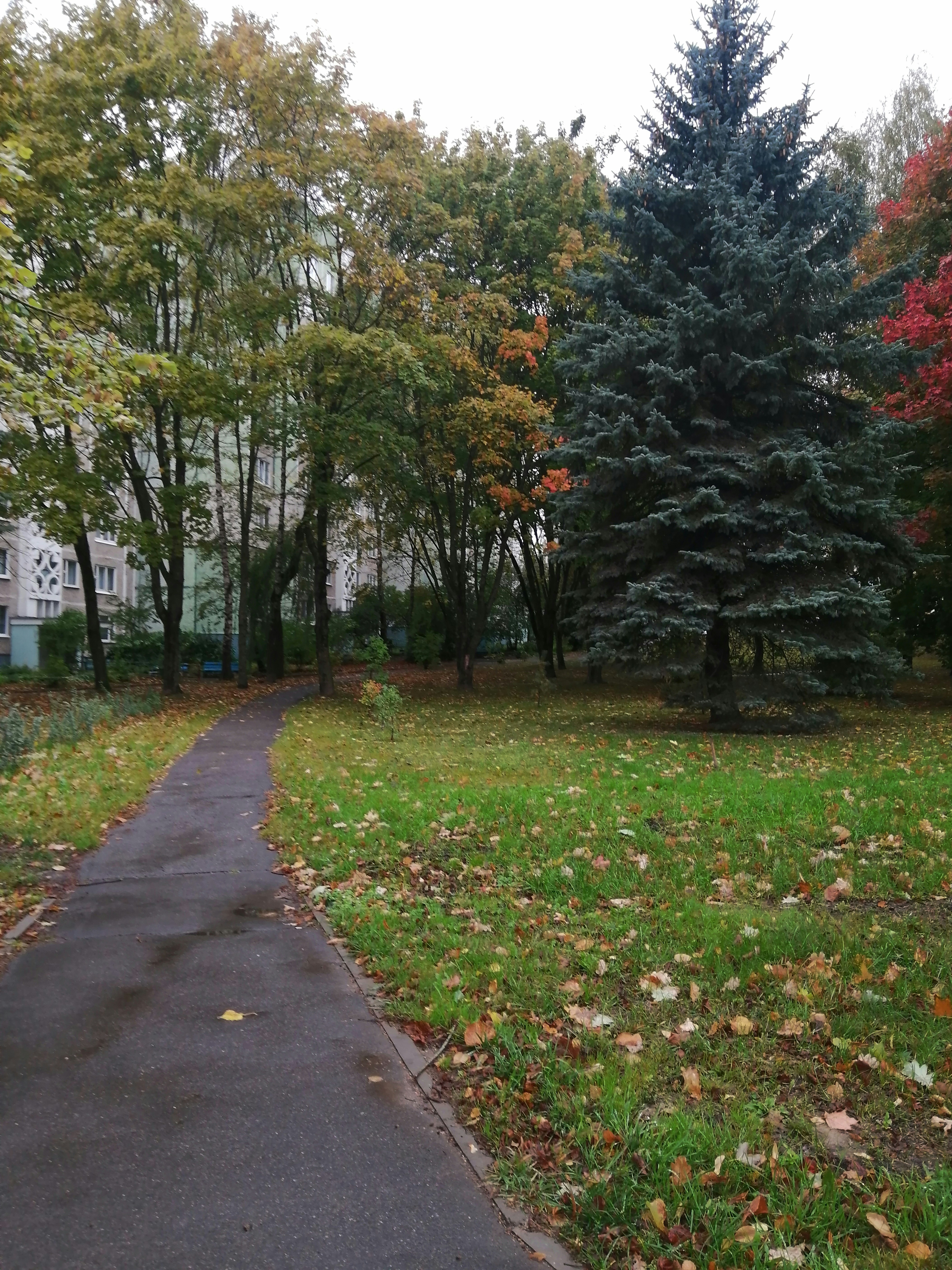 Photo by Irina Spotkai with Huawei P30 Lite