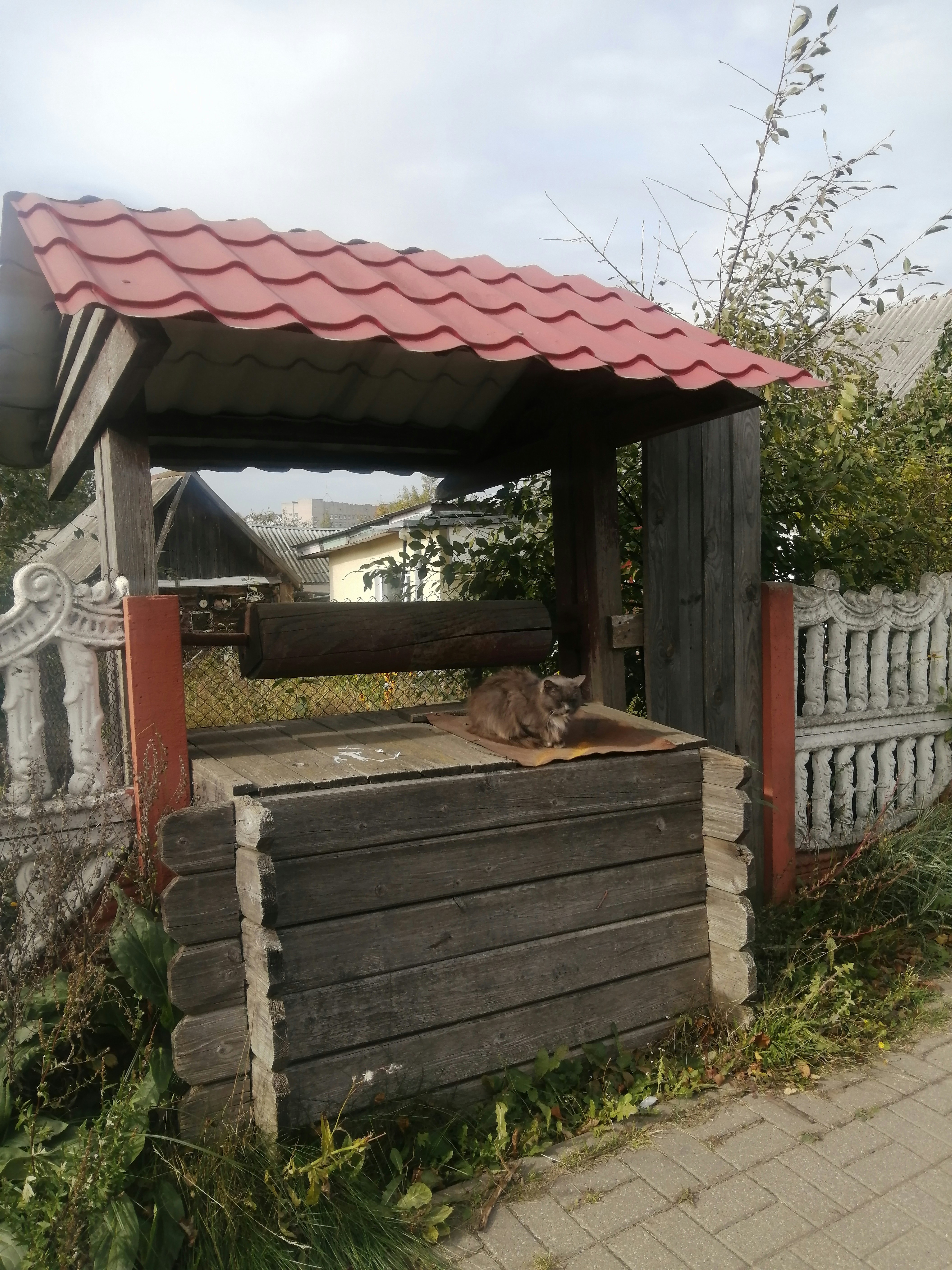 Catnap Under a Red Roof: Rustic Garden Well in Quiet Afternoon Light