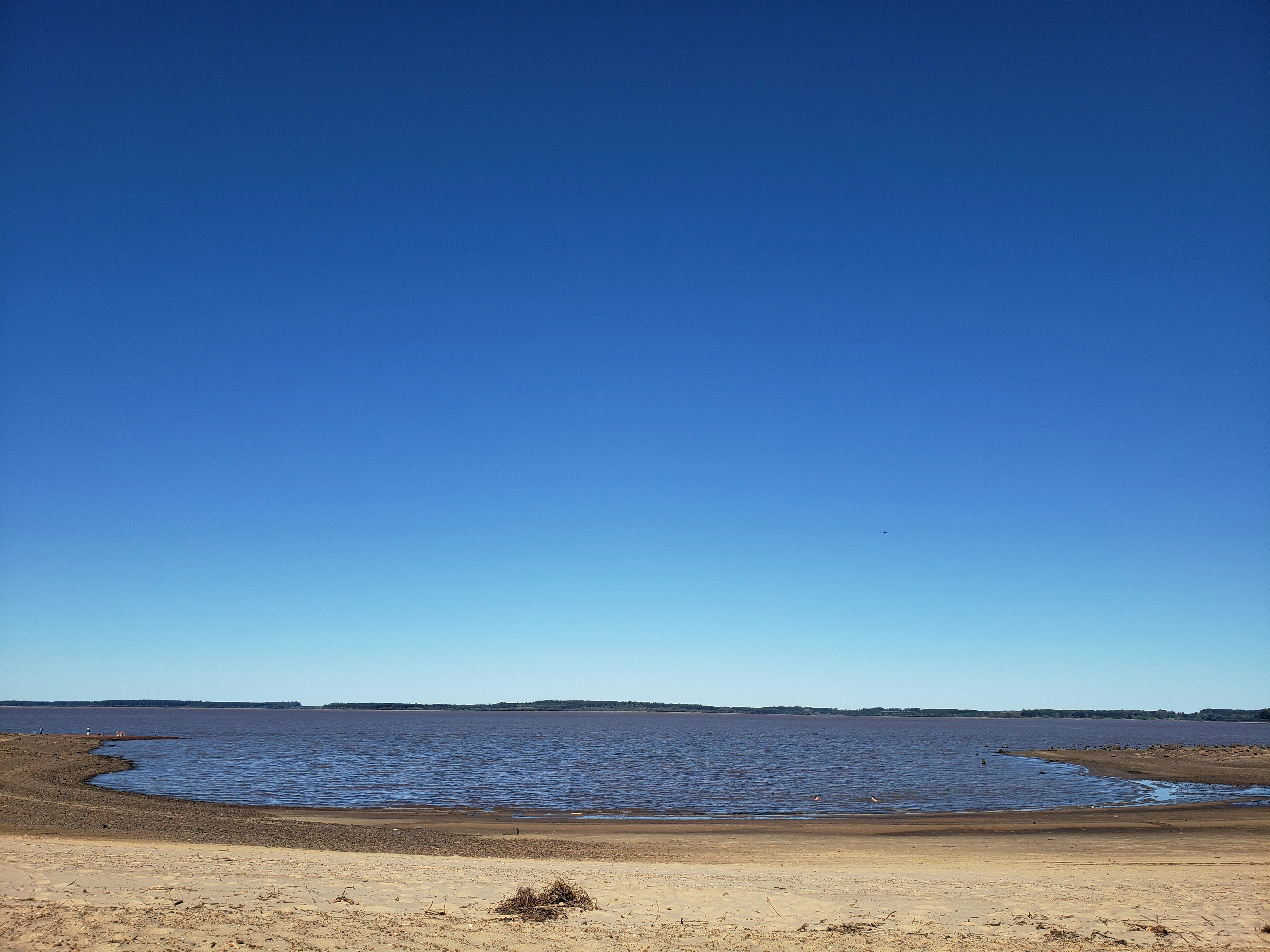 Tranquil sandy beach leading to a gently curving shoreline under a clear, expansive blue sky.