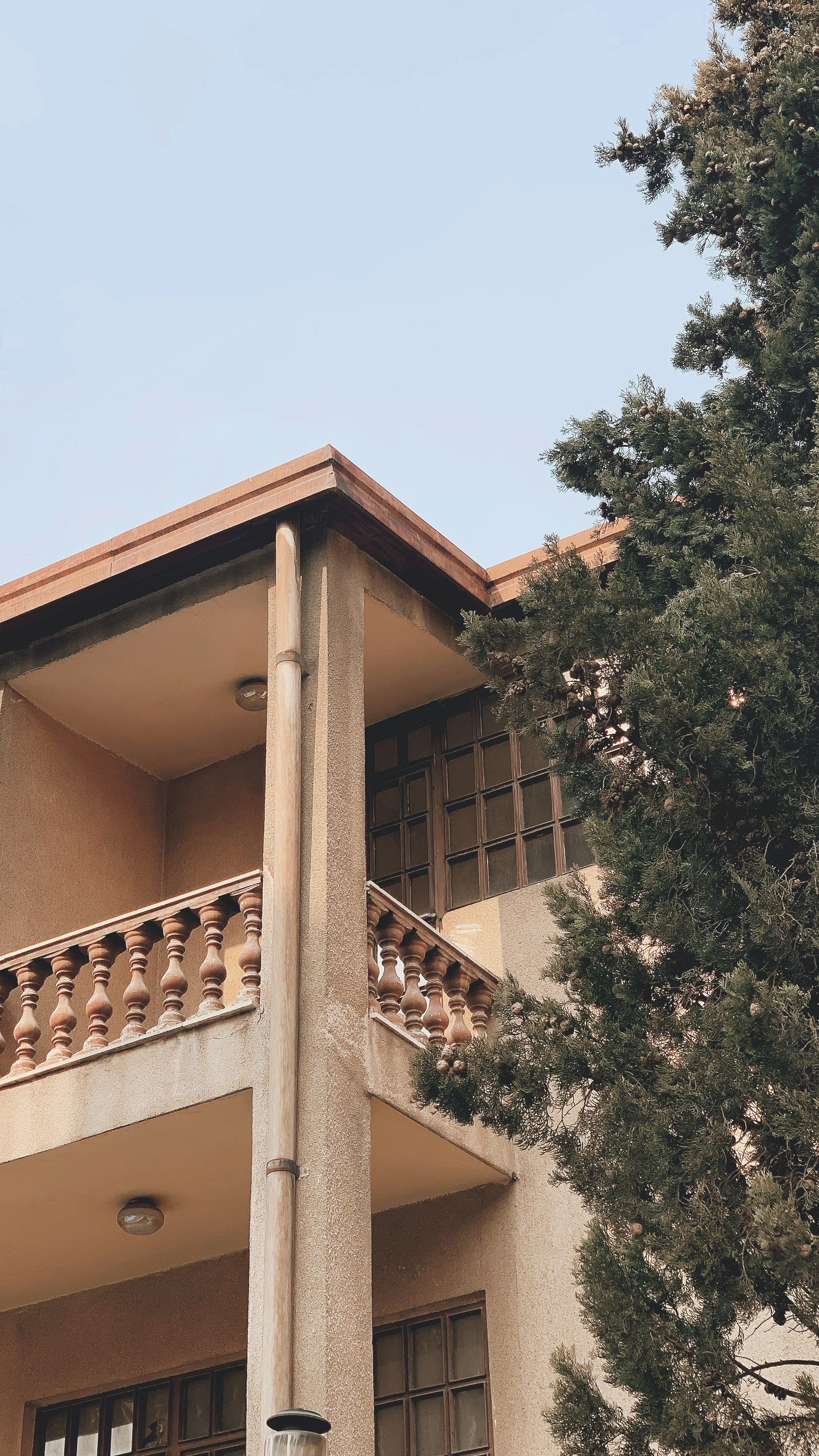 Photo by Mohamadmahdi Moradi with Apple iPhone XS