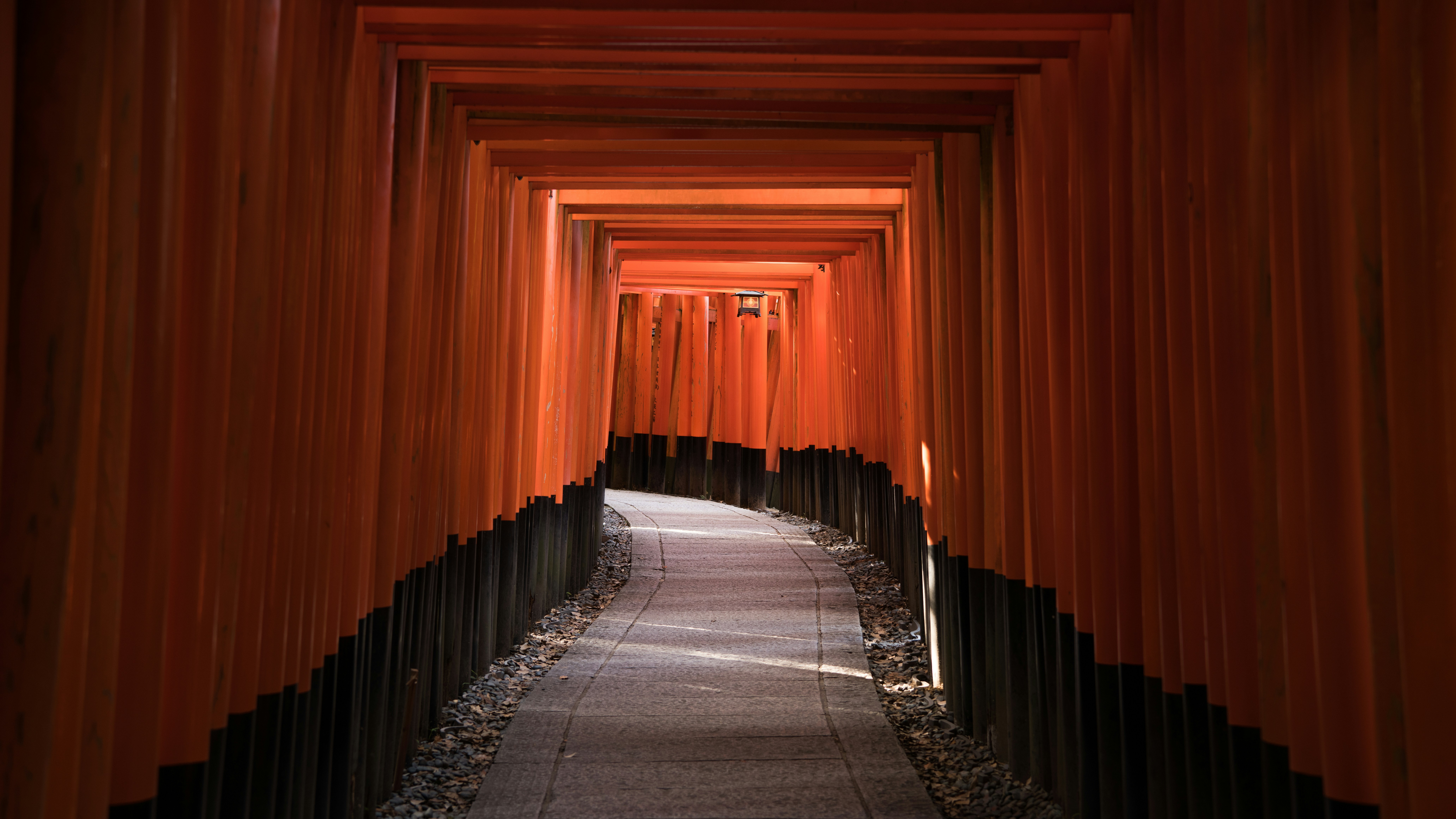 A walkway lined with red gates leading into the distance photo – Free ...