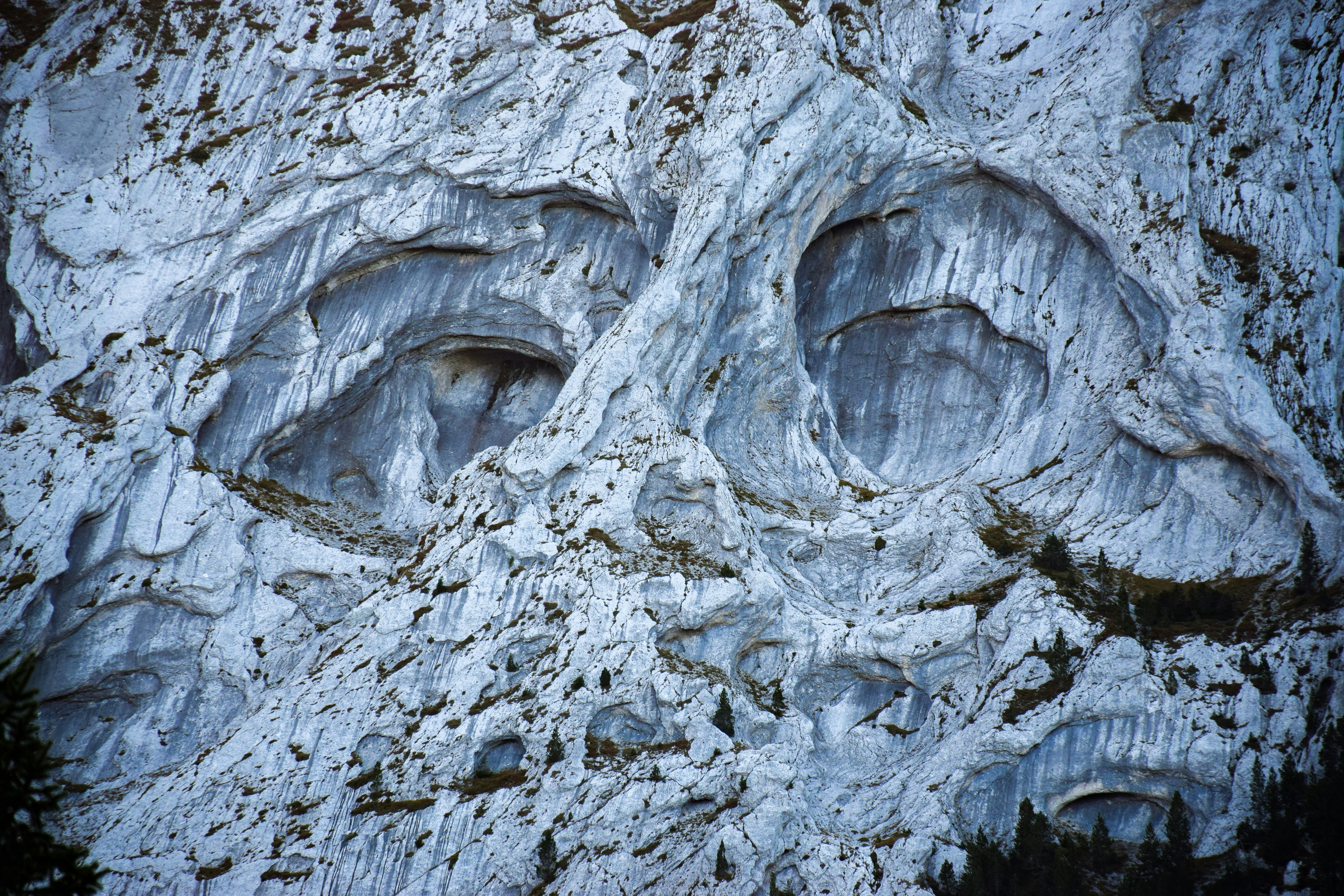 Un gros plan d’une paroi rocheuse avec des arbres en arrière-plan photo ...