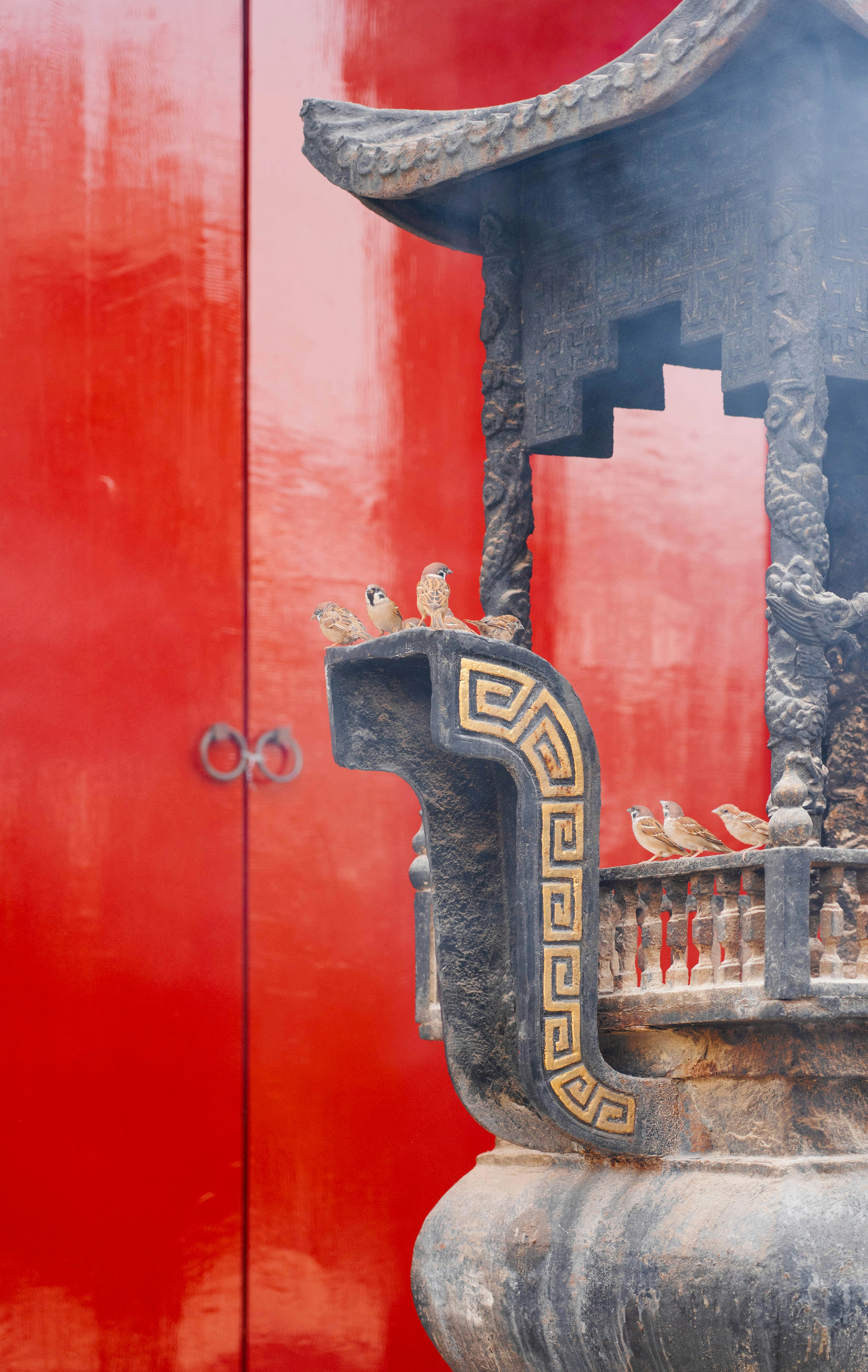 Tiny Birds Perch Along a Weathered Stone Balustrade Against a Bold Red Gate