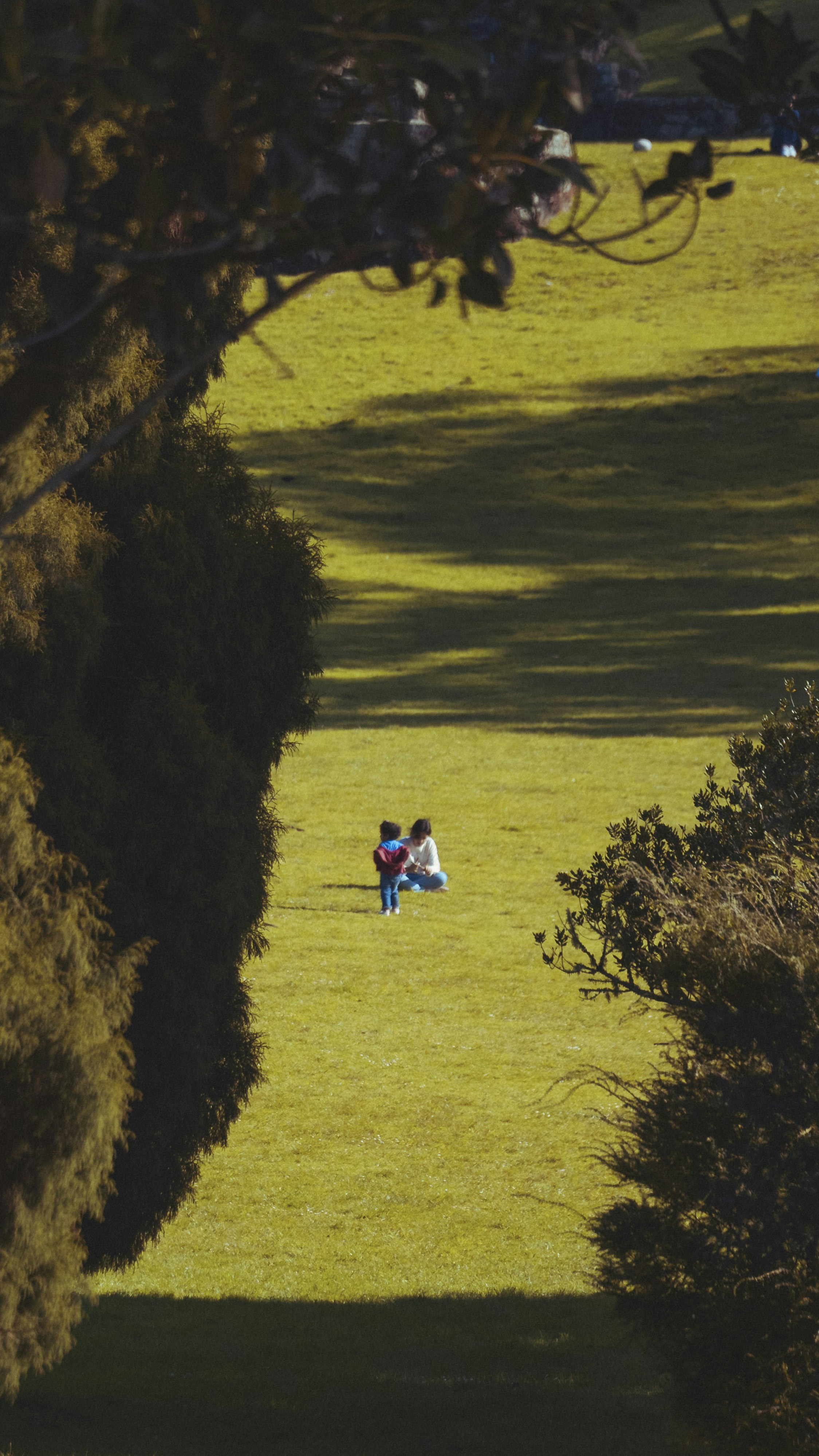 Midfield Moment: Two Figures Rest in a Sunlit Park Clearing