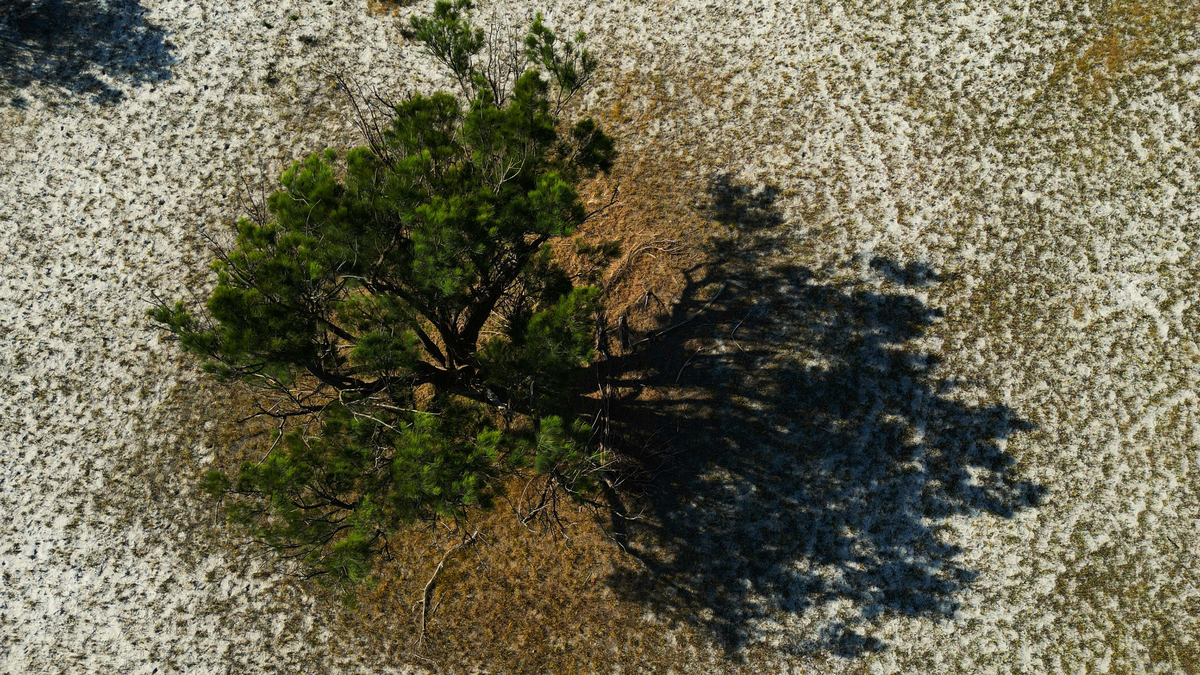 Photo by Ian with DJI Mini 3 Pro