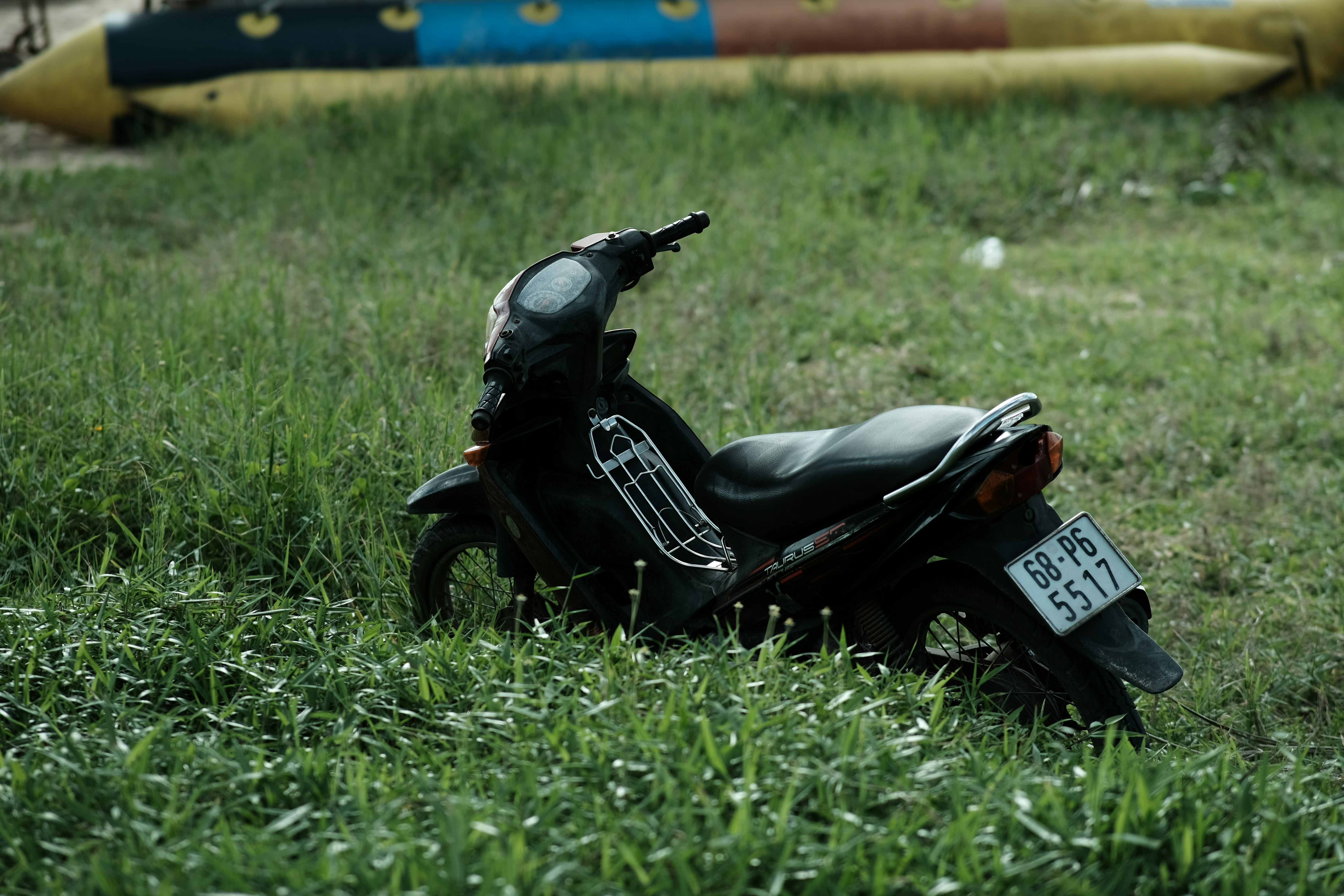 Meadow Parking: A Scooter Resting Among Wild Grass with Distant Boat Hulls