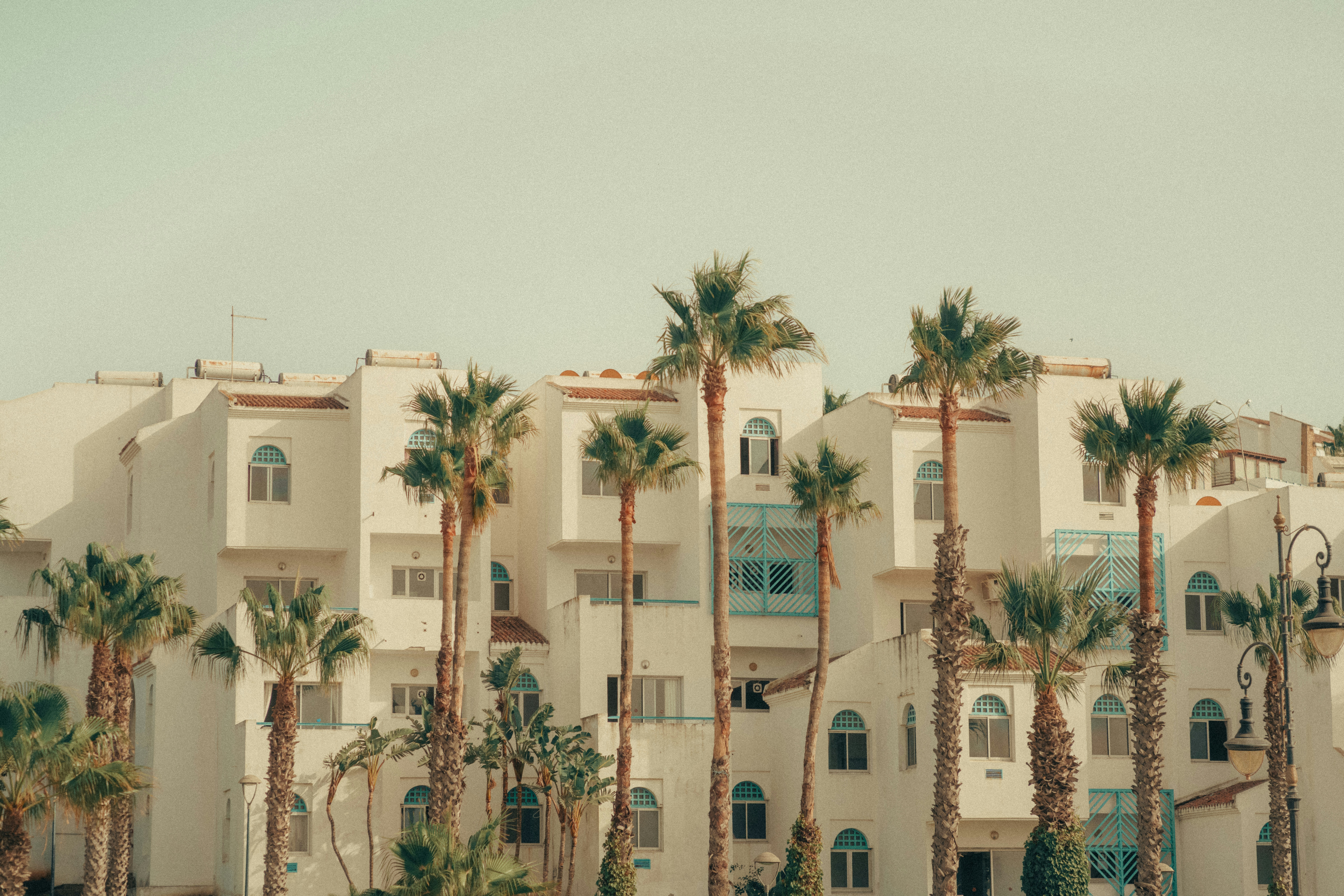 White stucco buildings with blue accents surrounded by tall palm trees under a hazy sky.