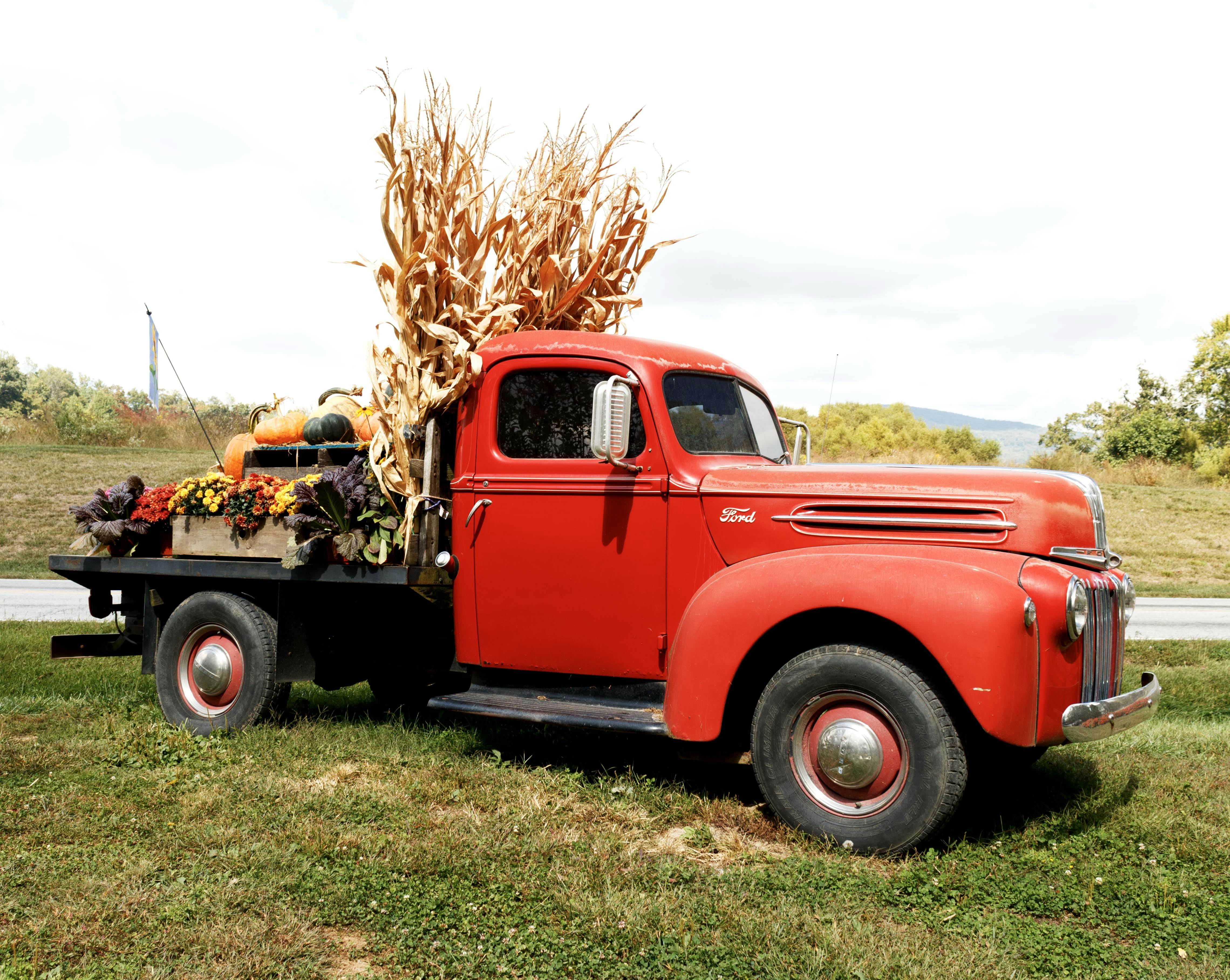 Photo by Wes McFee with Canon EOS 750D