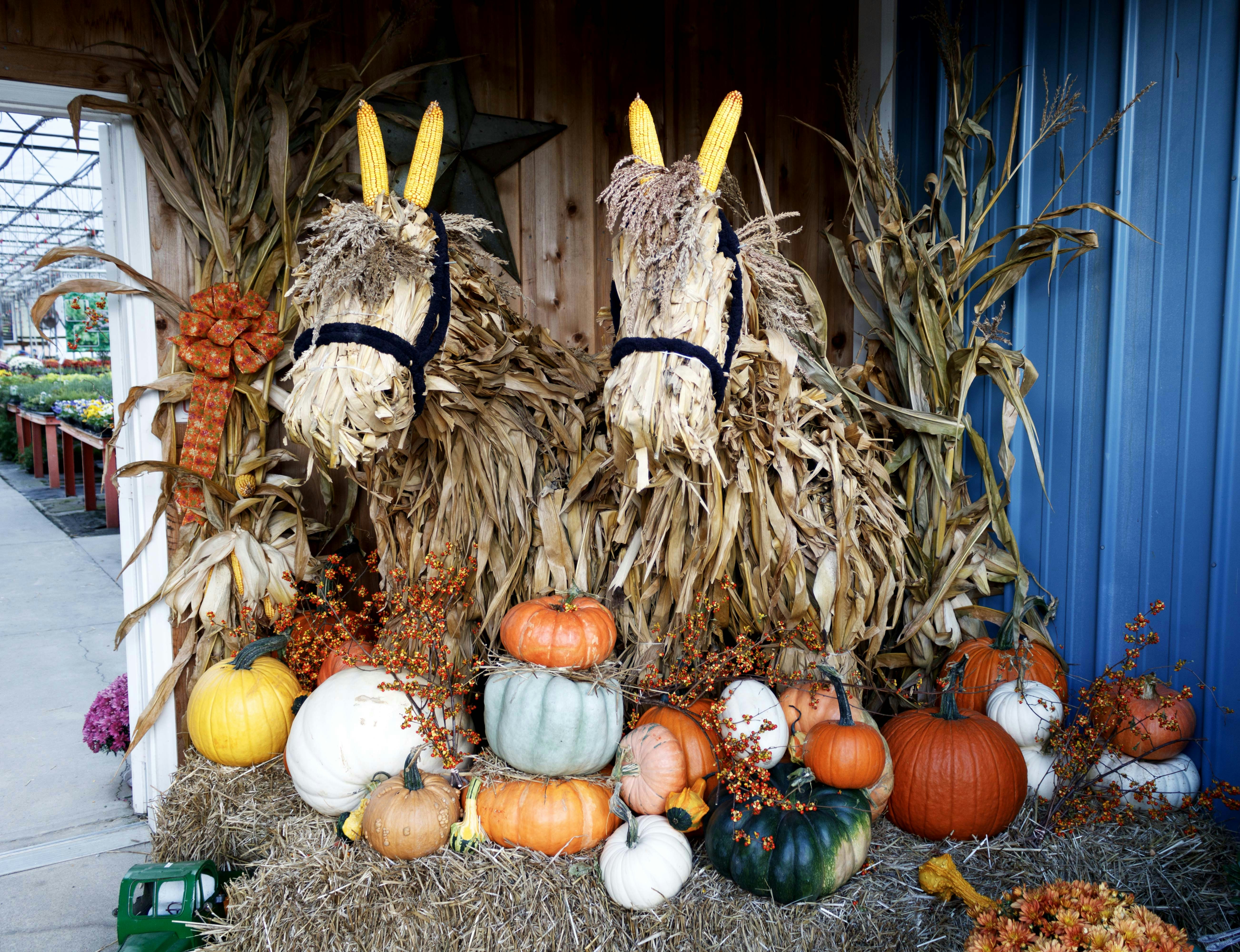 Harvest Ramshackle: Cornstalk Creatures Among Orange Ornaments