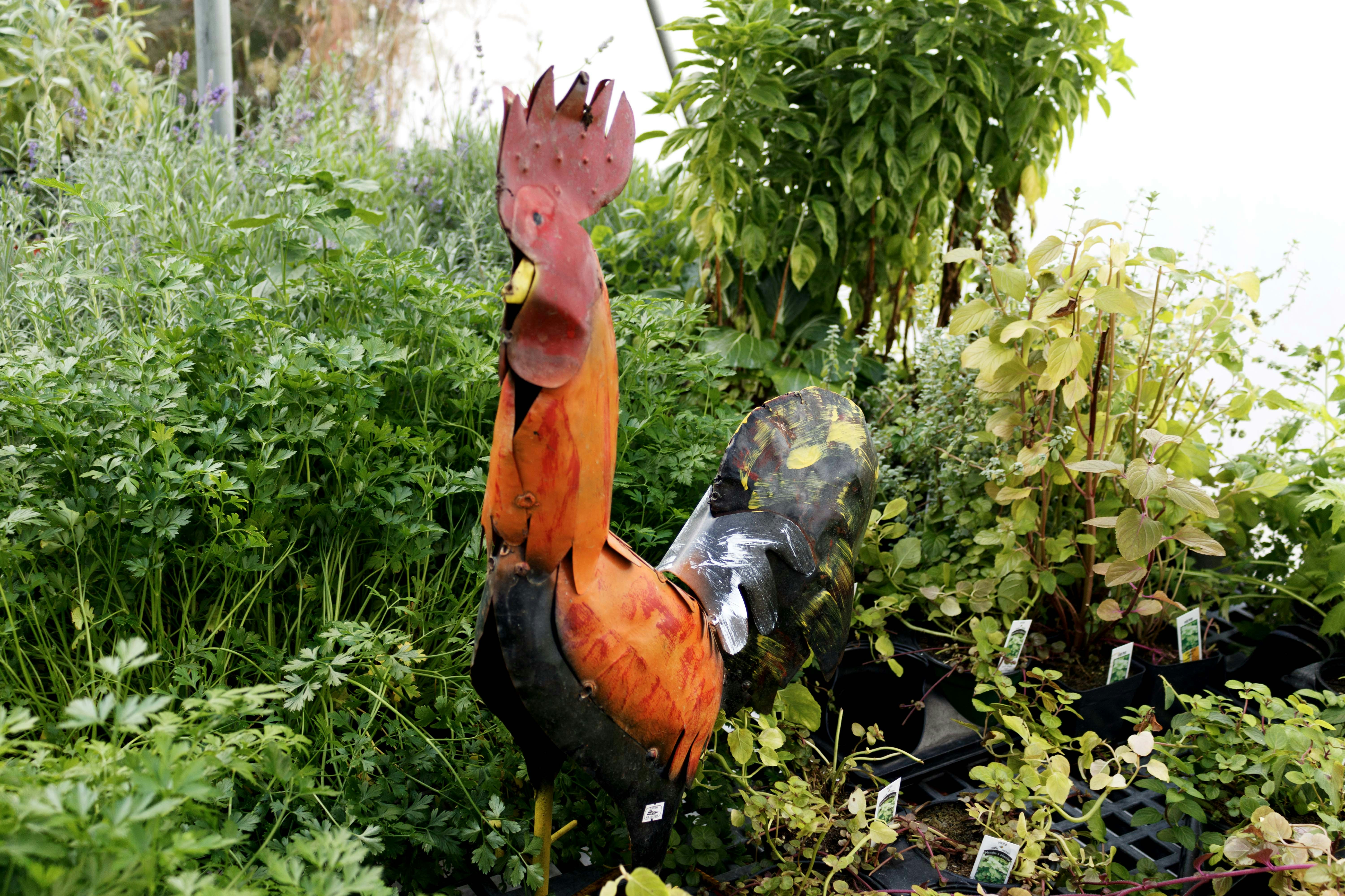 Photo by Wes McFee with Canon EOS 750D