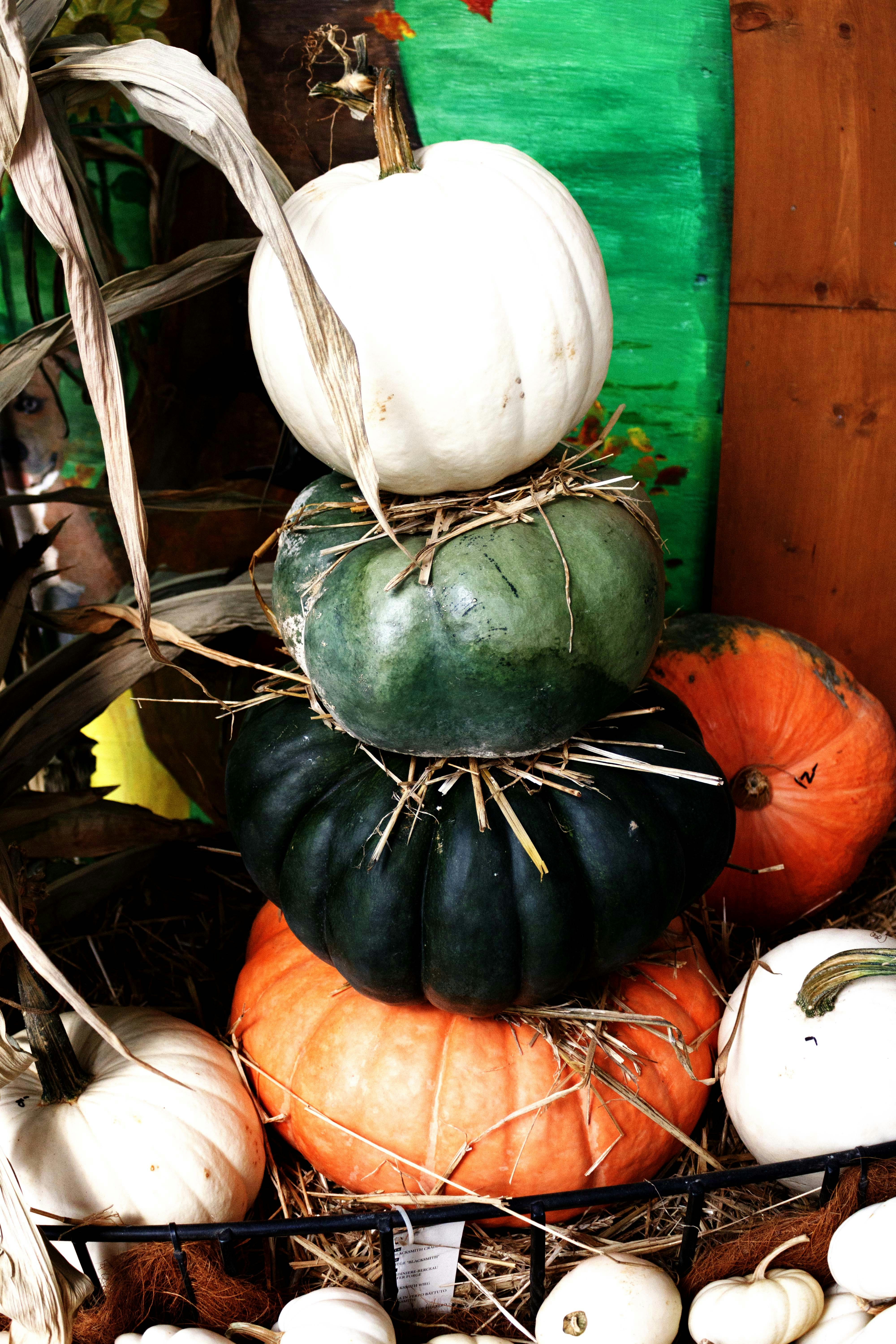 Crowning Harvest: White Pumpkin Crowned atop a Tiered Pumpkin Stack