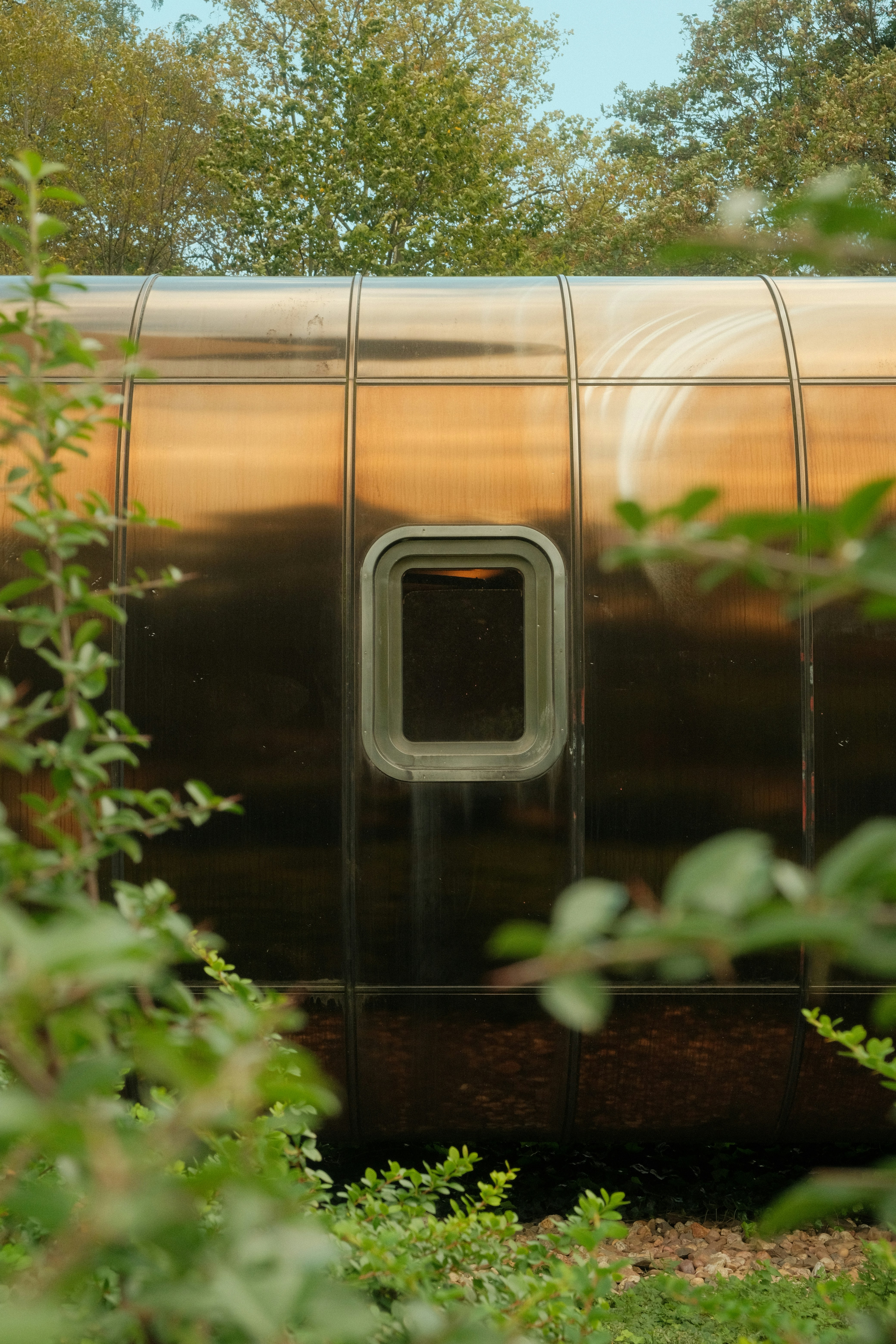 Chrome Curvature: A Square Window Framed by Garden Greens