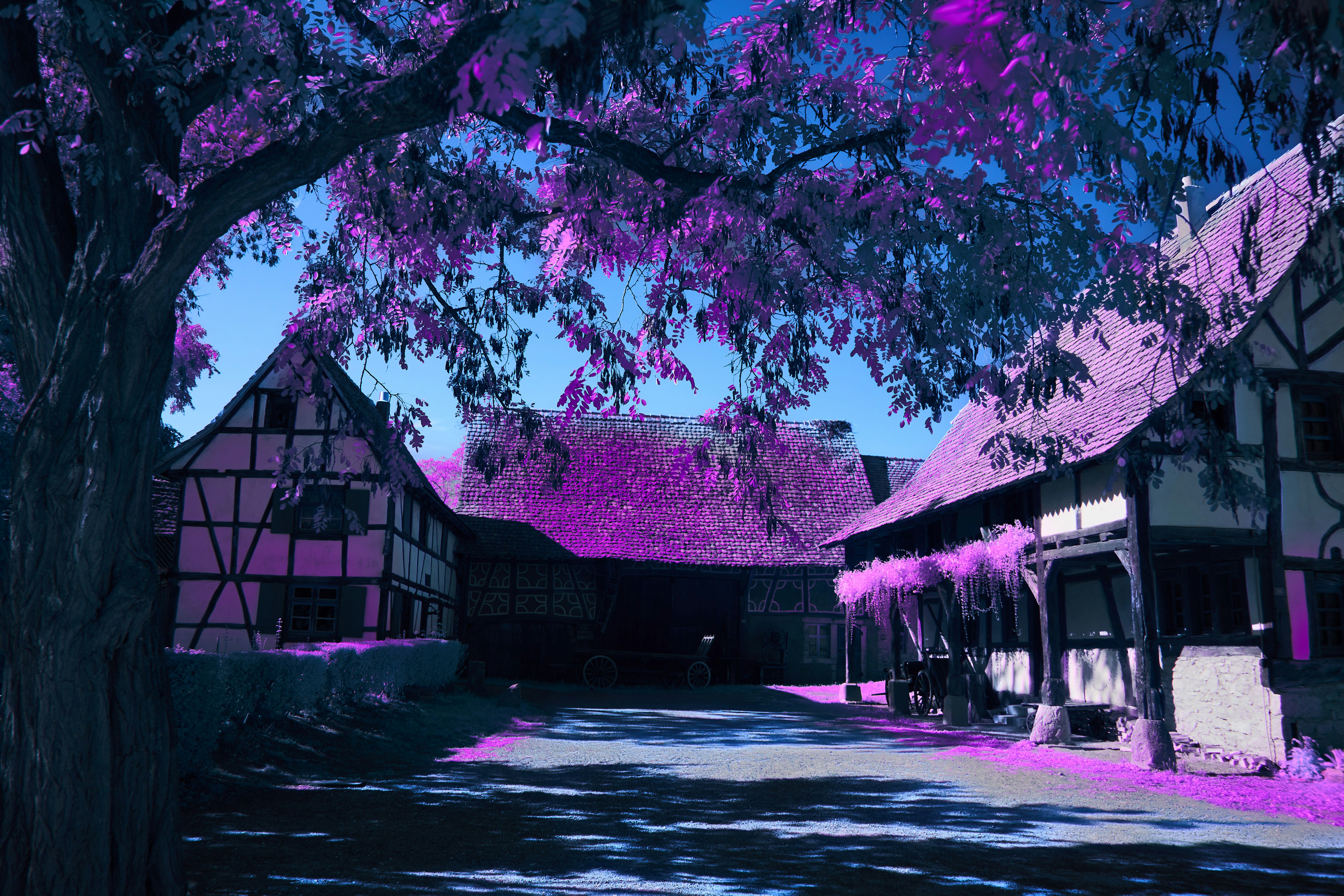 Une Photo Violette D Une Rue De Village Photo Photo Ville Gratuite
