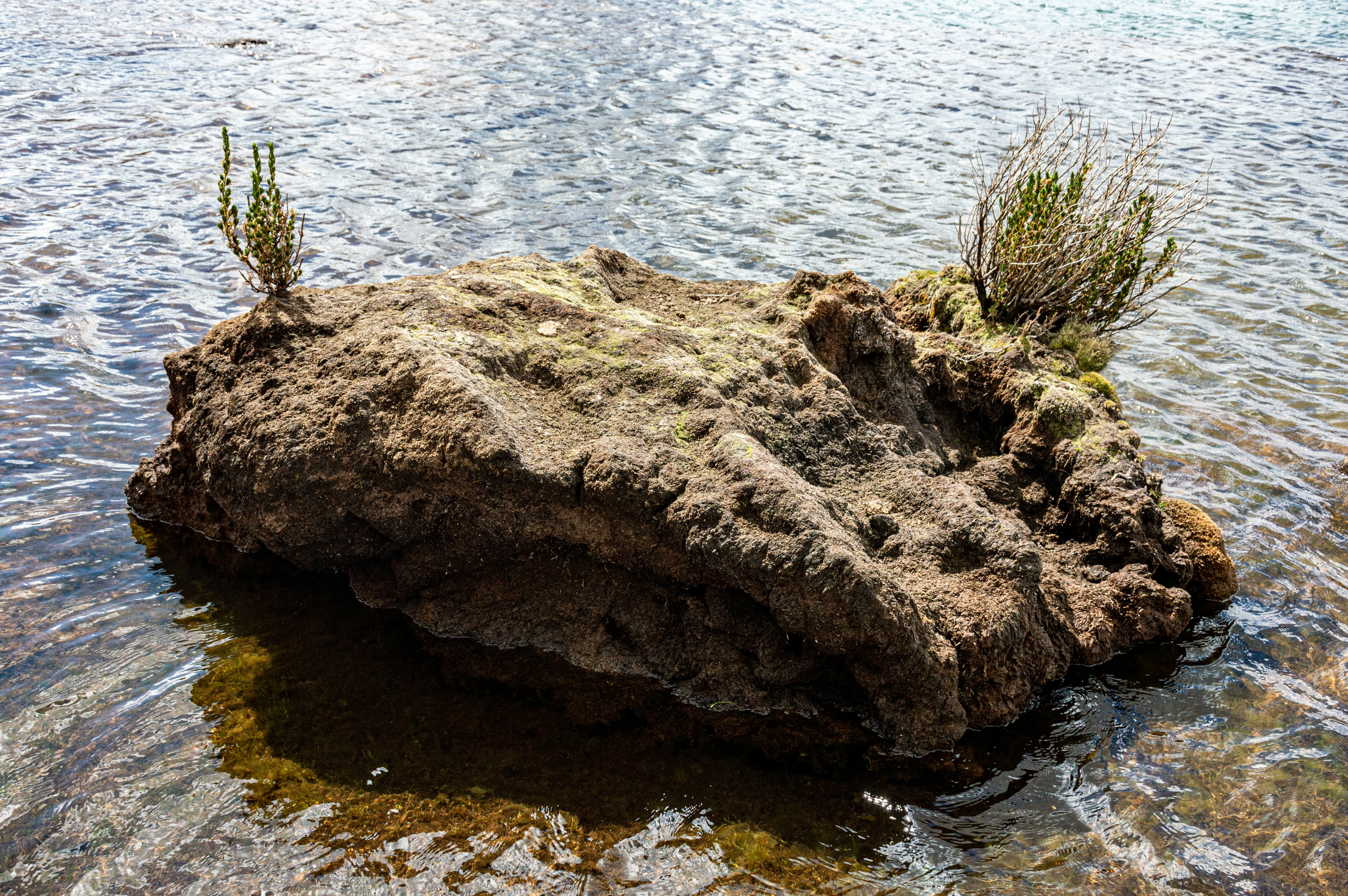 Rugged Islet Emerging from Quiet Waters