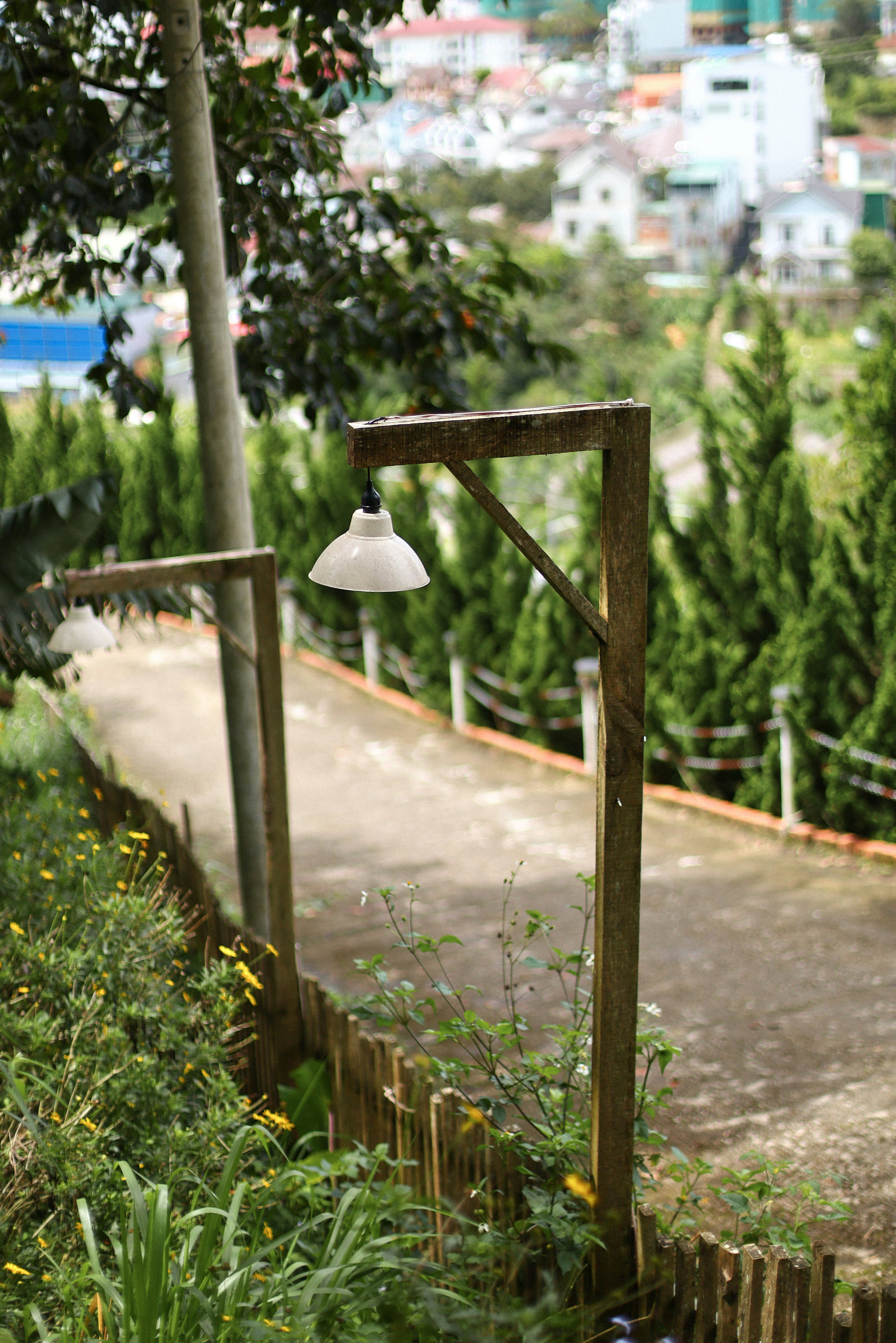 in Da Lat of Vietnam