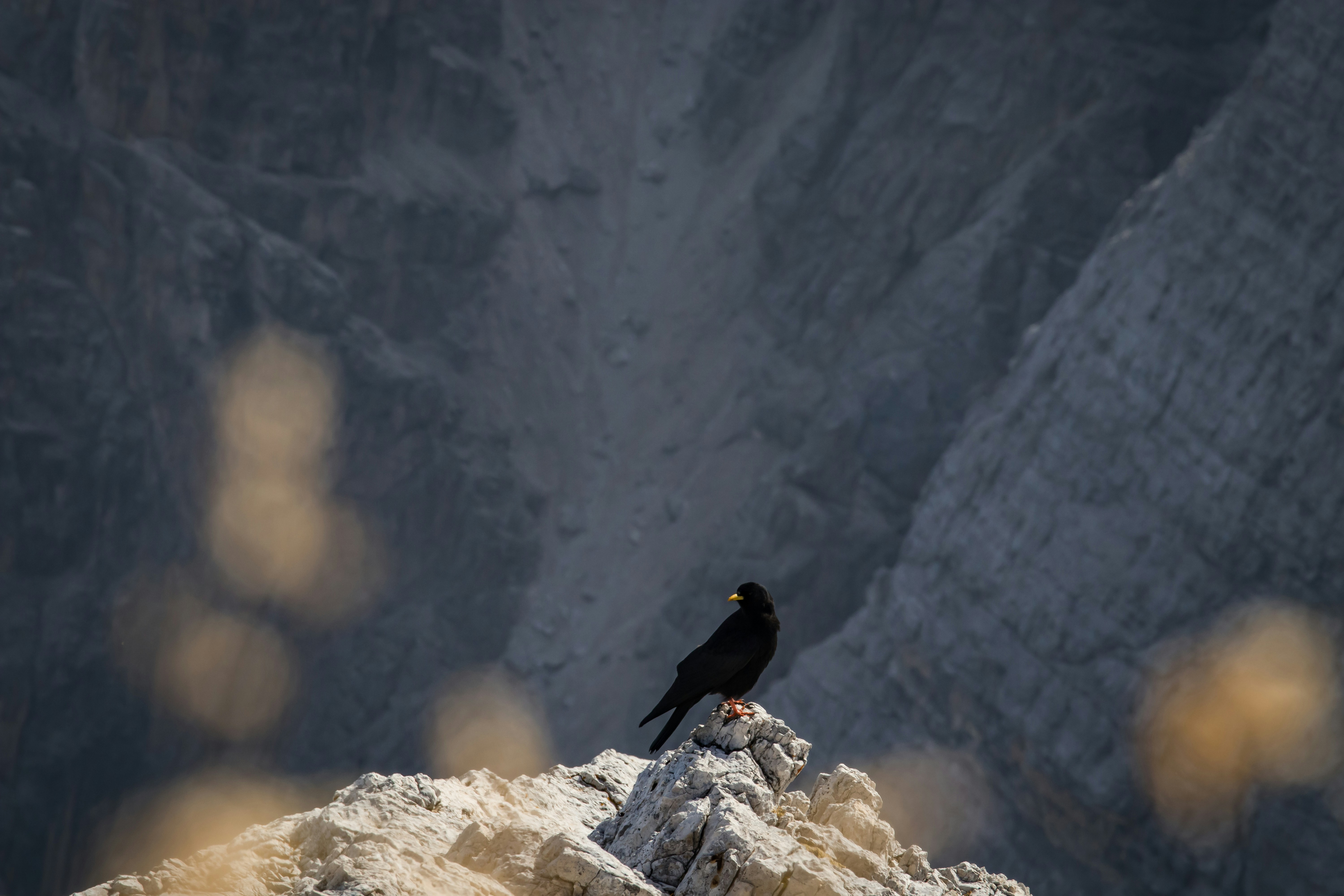 Photo by Svenja Wagenseil with Canon EOS 77D