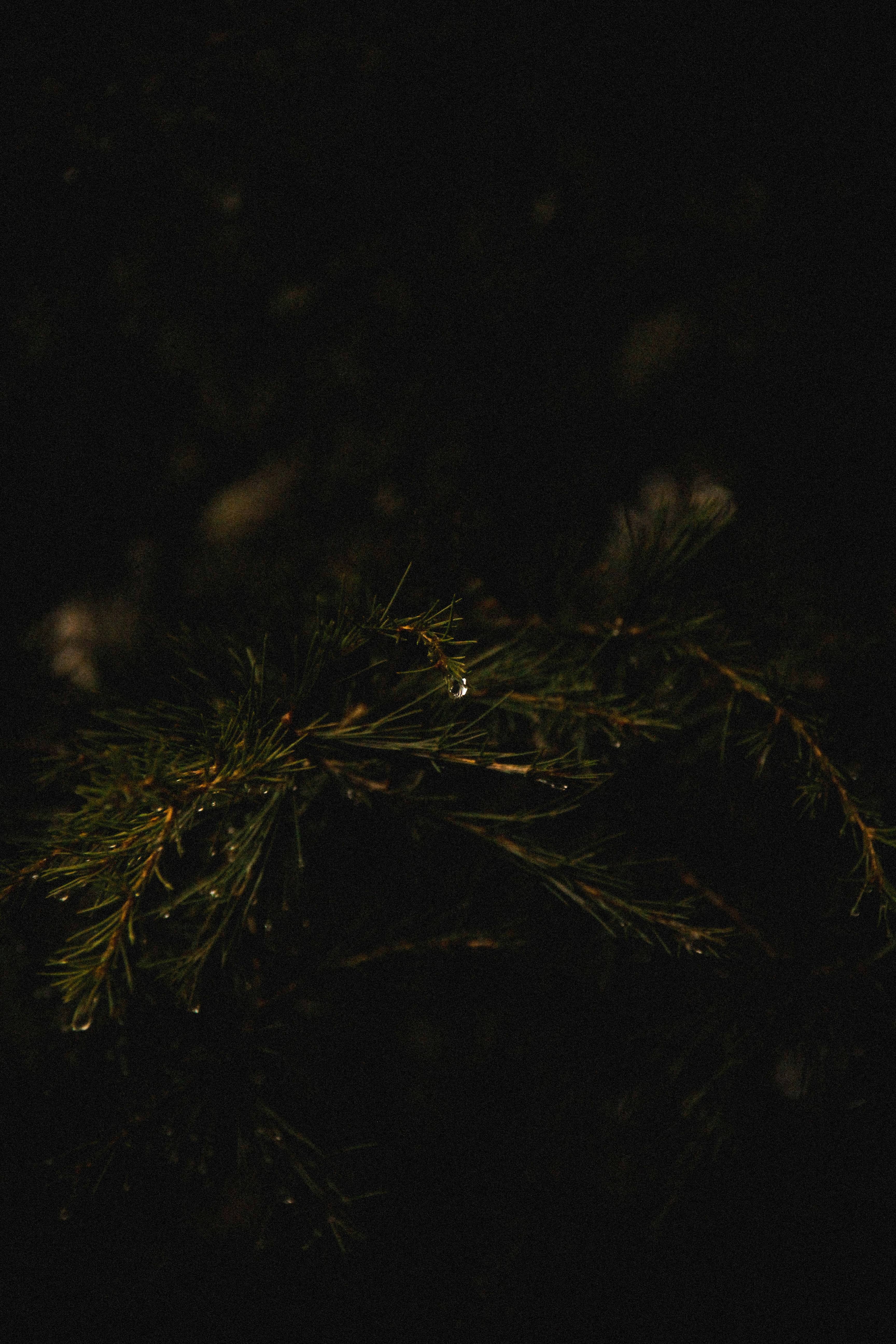 Photo by Yusuf Onuk with Canon EOS 600D