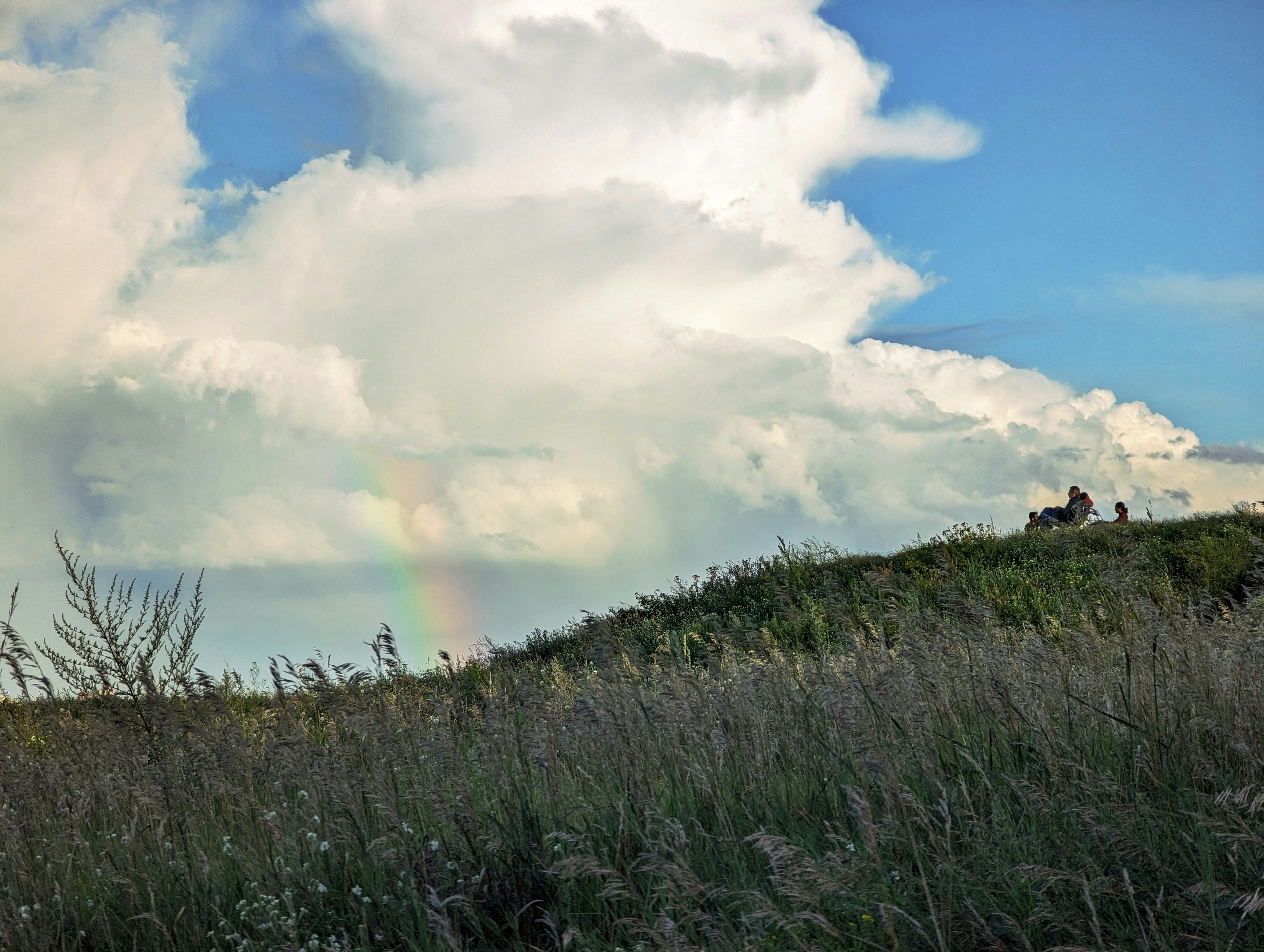 Groups of people at the top of a flowery hill looking on at a rainbow over an ongoing rainstorm in the city below. White clouds tower above it all.