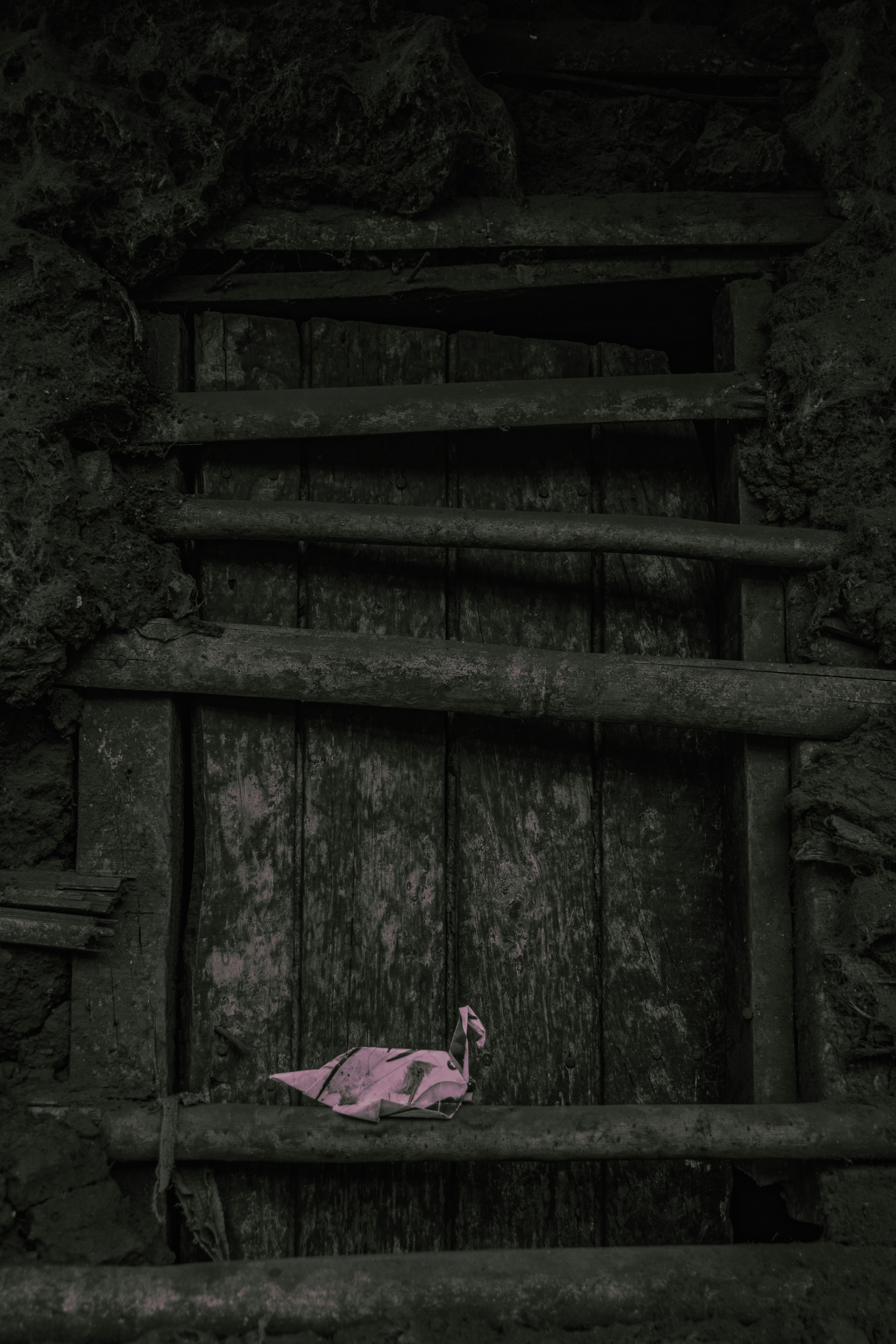 Pink Shard on a Timber Threshold: Echoes of an Abandoned Entrance