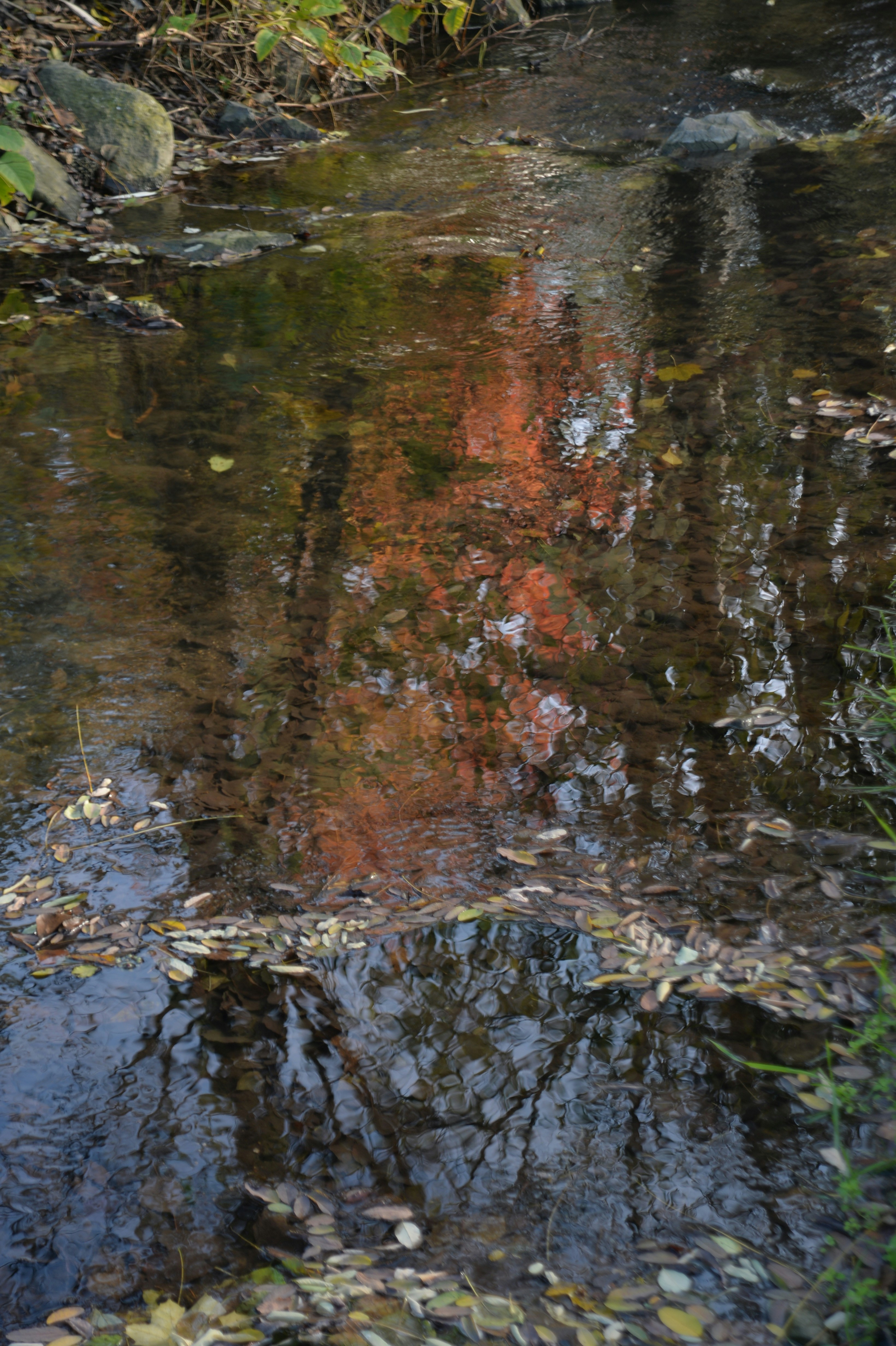 a reflection of a building in the water