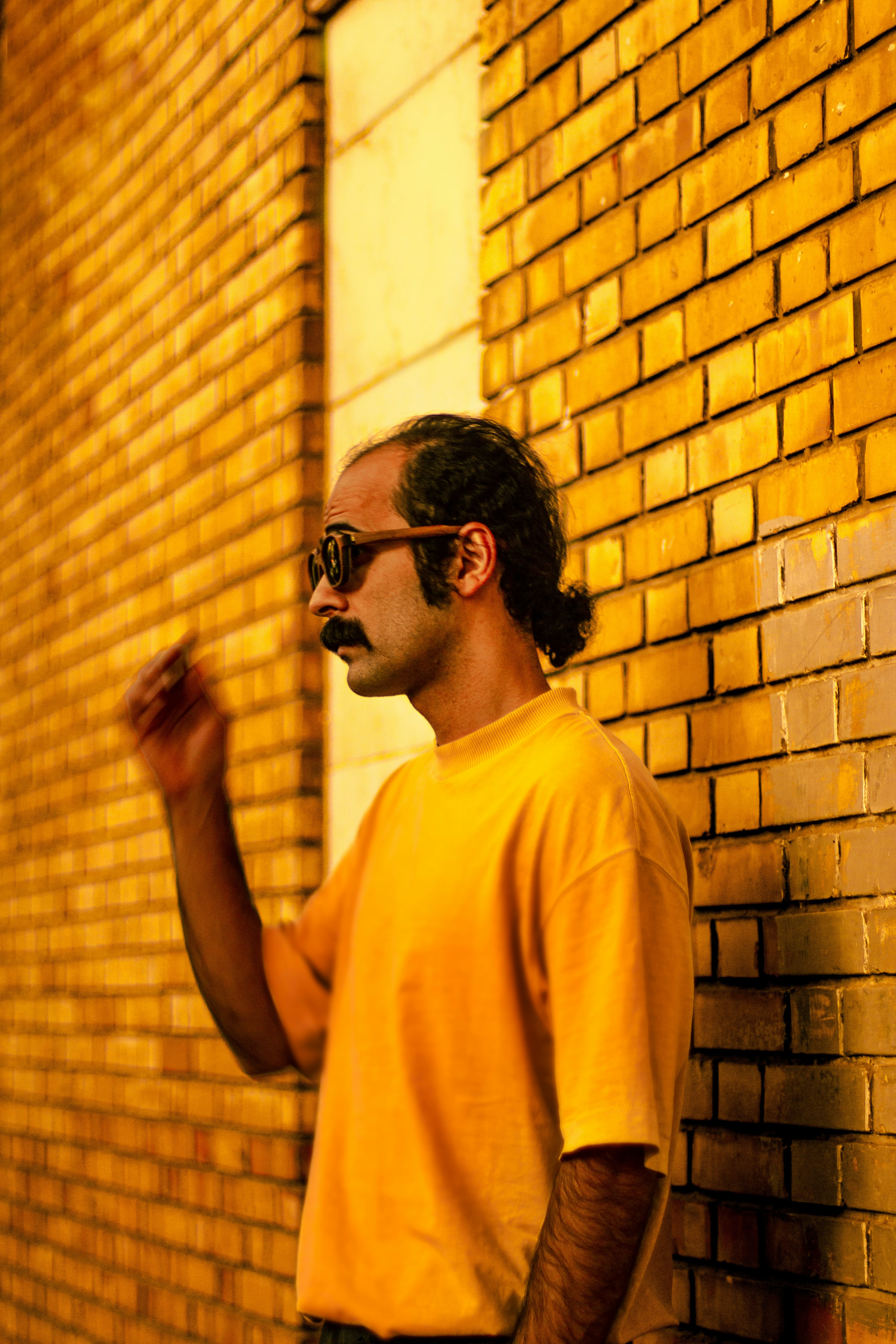Amber Profile by the Sunlit Brick Wall