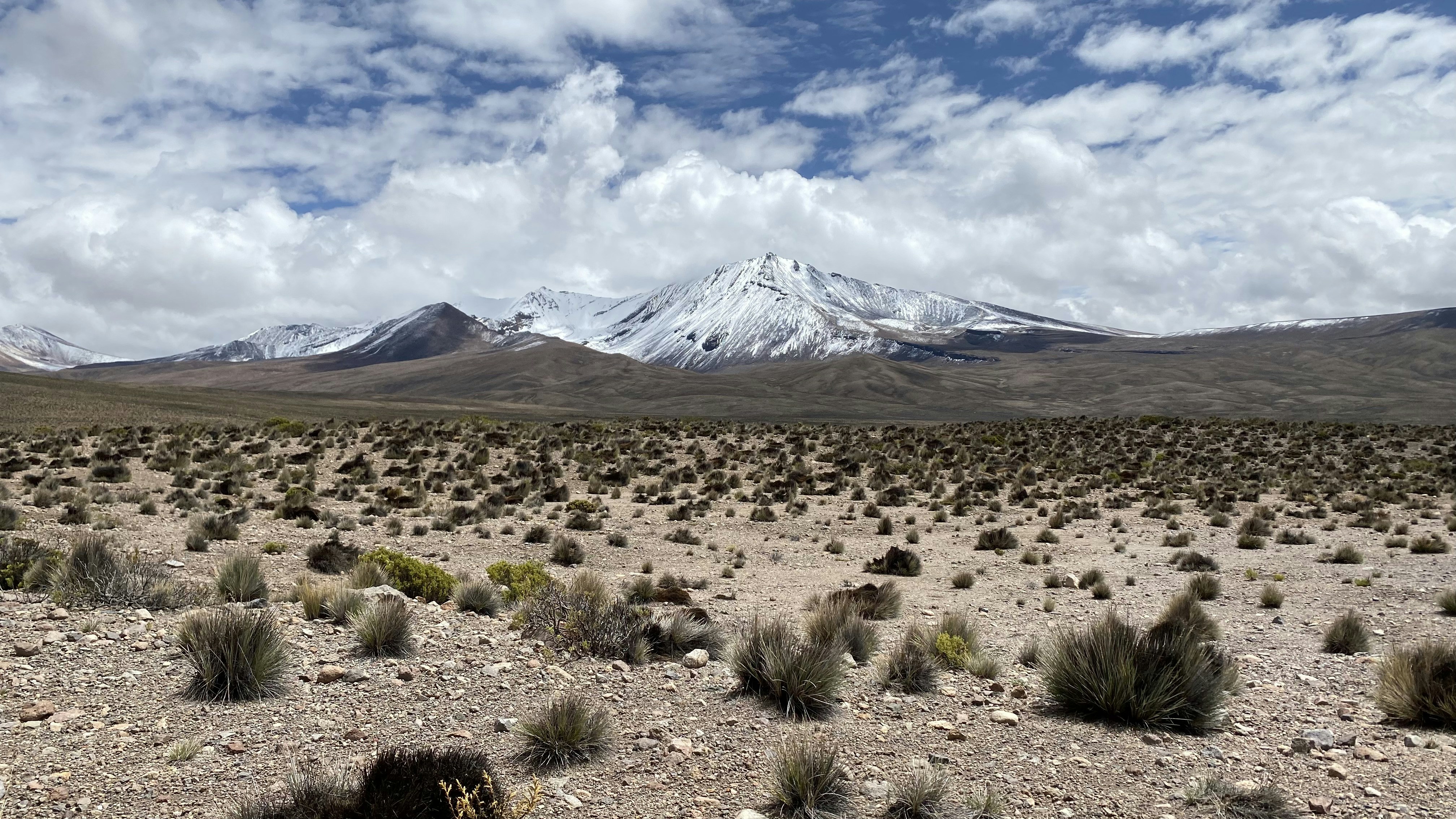 Expansive desert landscape with sparse vegetation leading to distant snow-capped mountains under a partly cloudy sky.